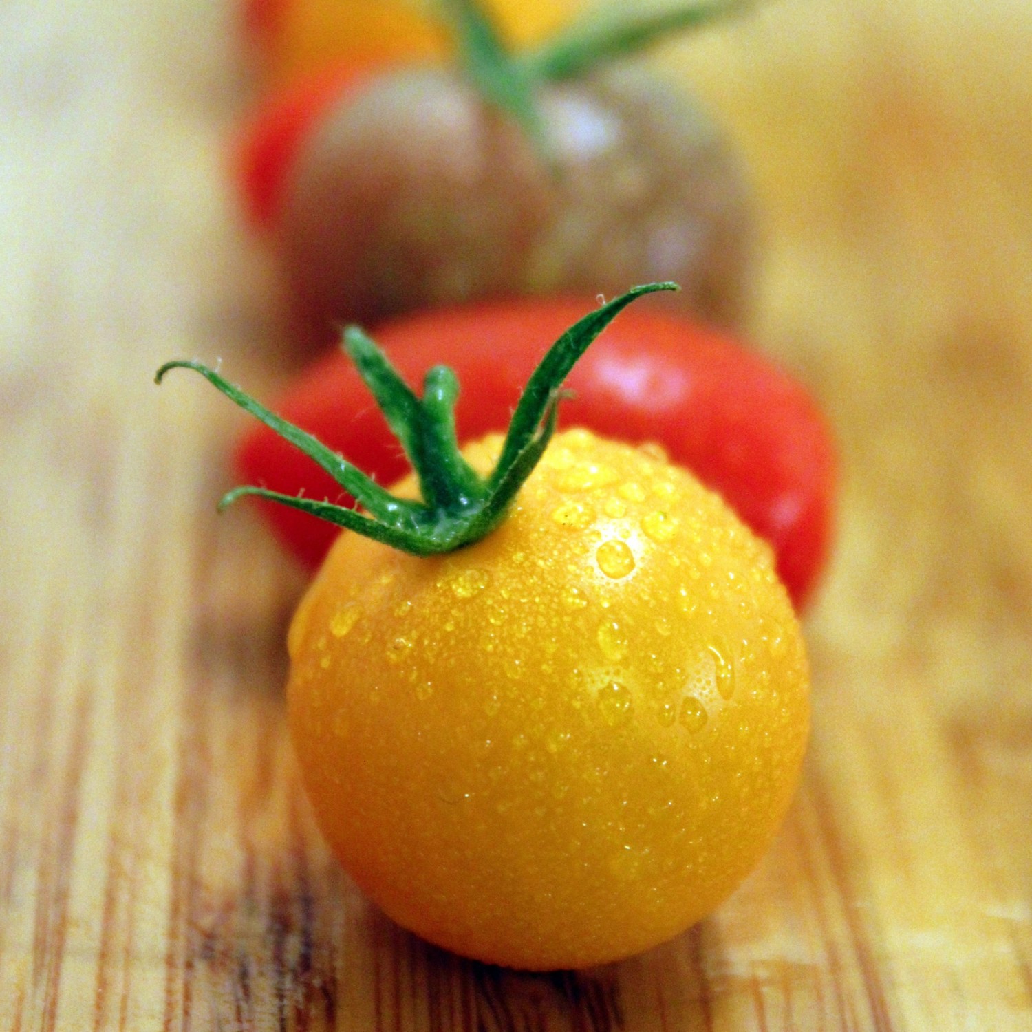 Bio Tomate Cocktail Solanum lyc.Tomate kaufen bei OBI