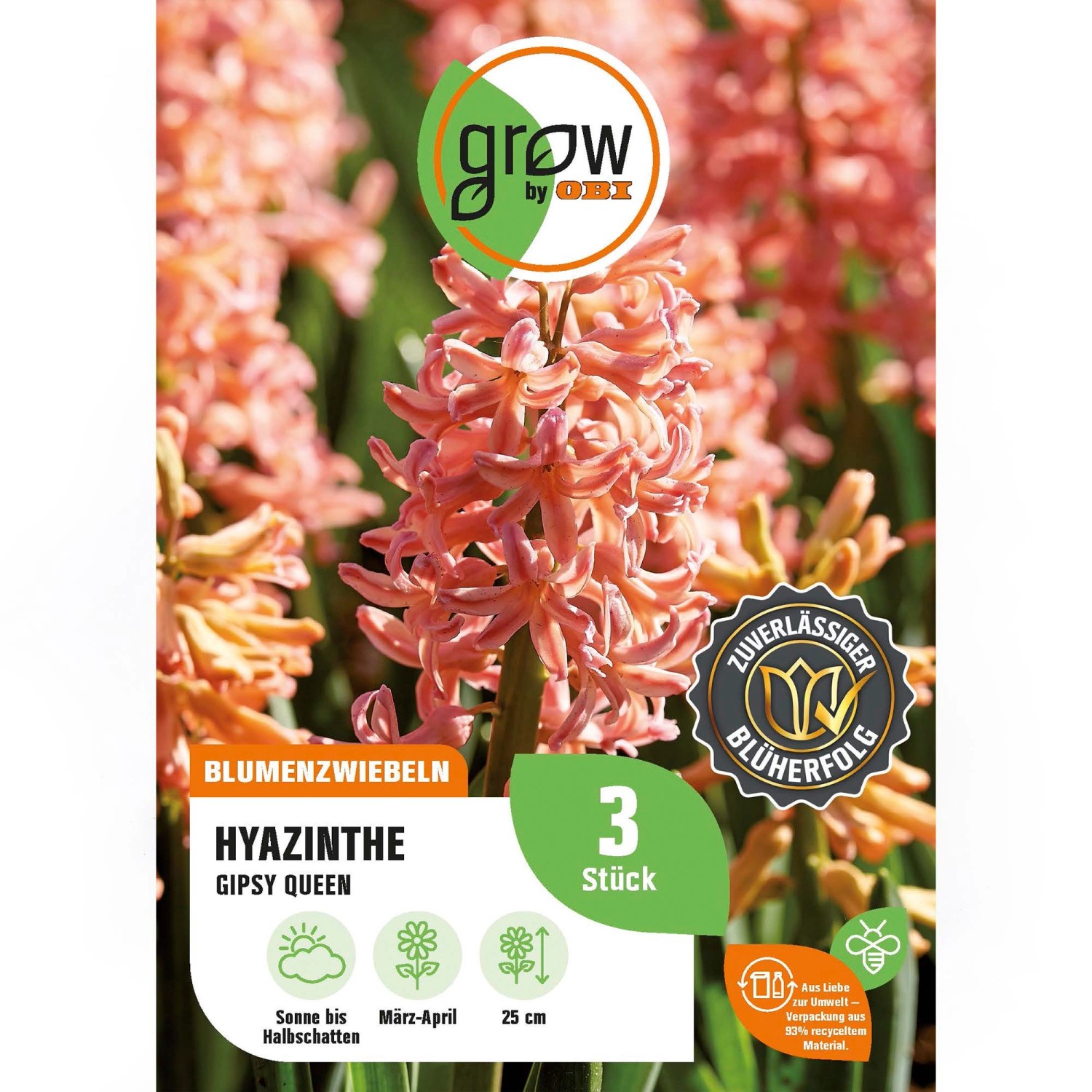 GROW by OBI Hyazinthe Gipsy Queen Orange 3 Stück Hyacinthus orientalis kaufen bei OBI