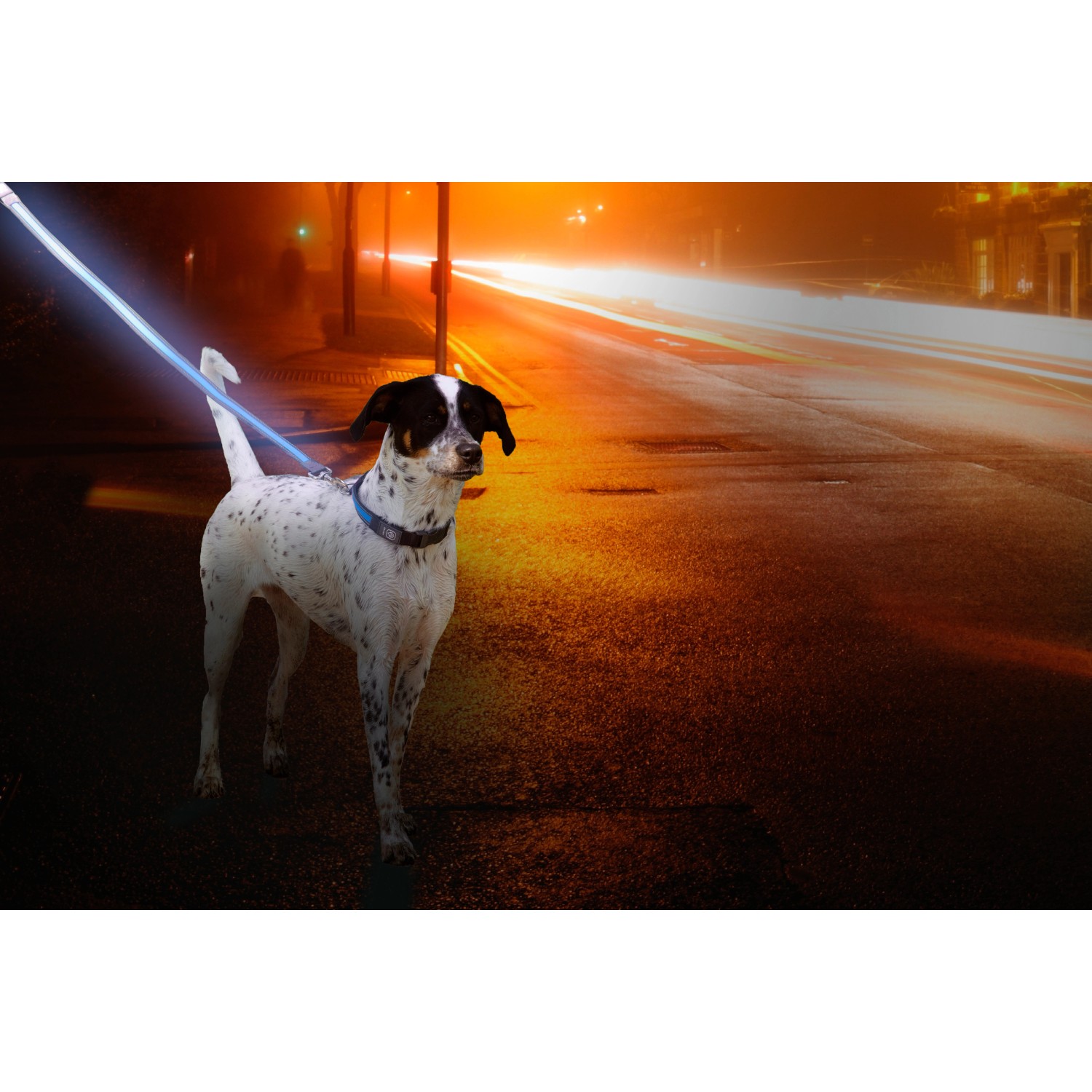 Dobar LED Halsband Blau kaufen bei OBI