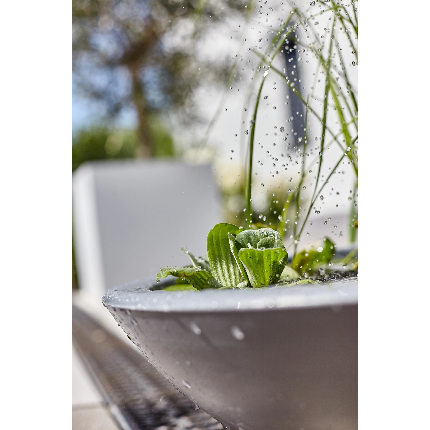 Heissner Solar-Wassergarten Lotusgarden kaufen bei OBI