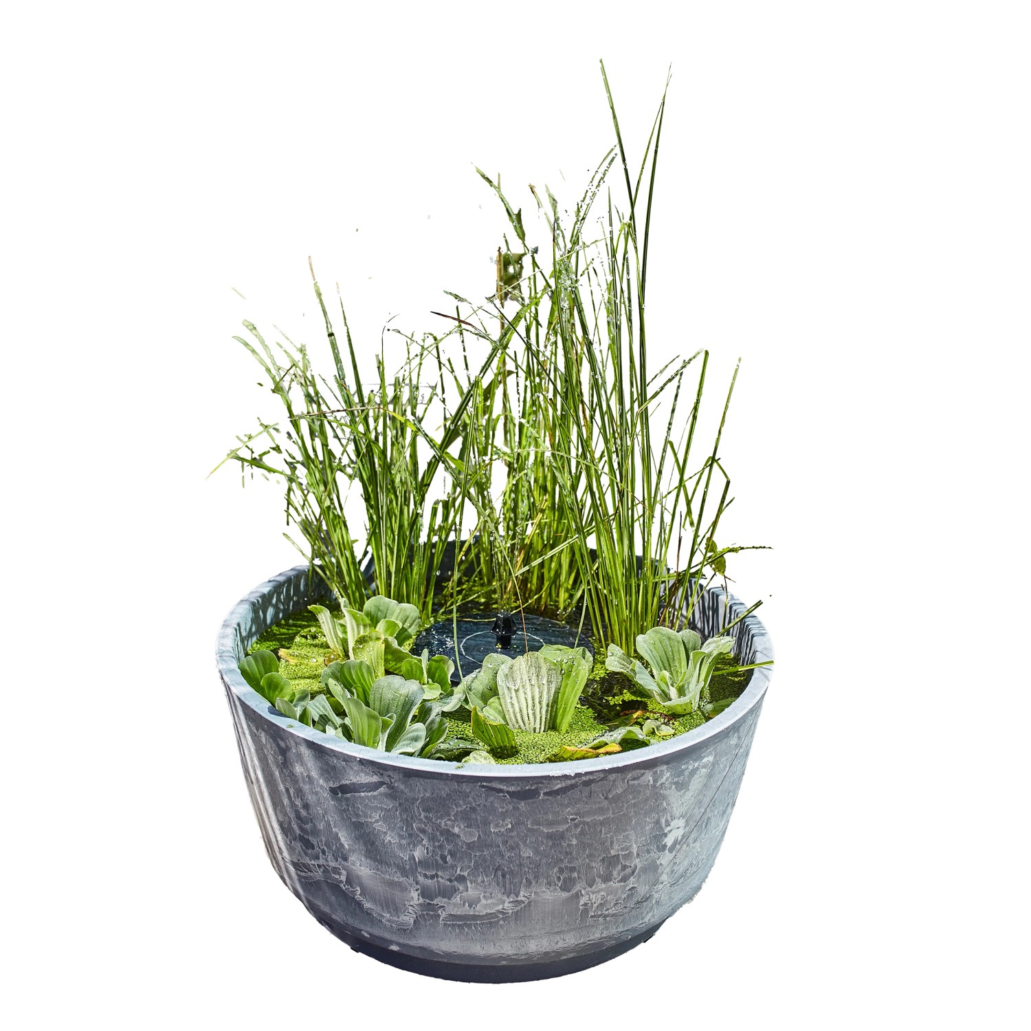 Heissner Solar-Wassergarten Aquatopia kaufen bei OBI