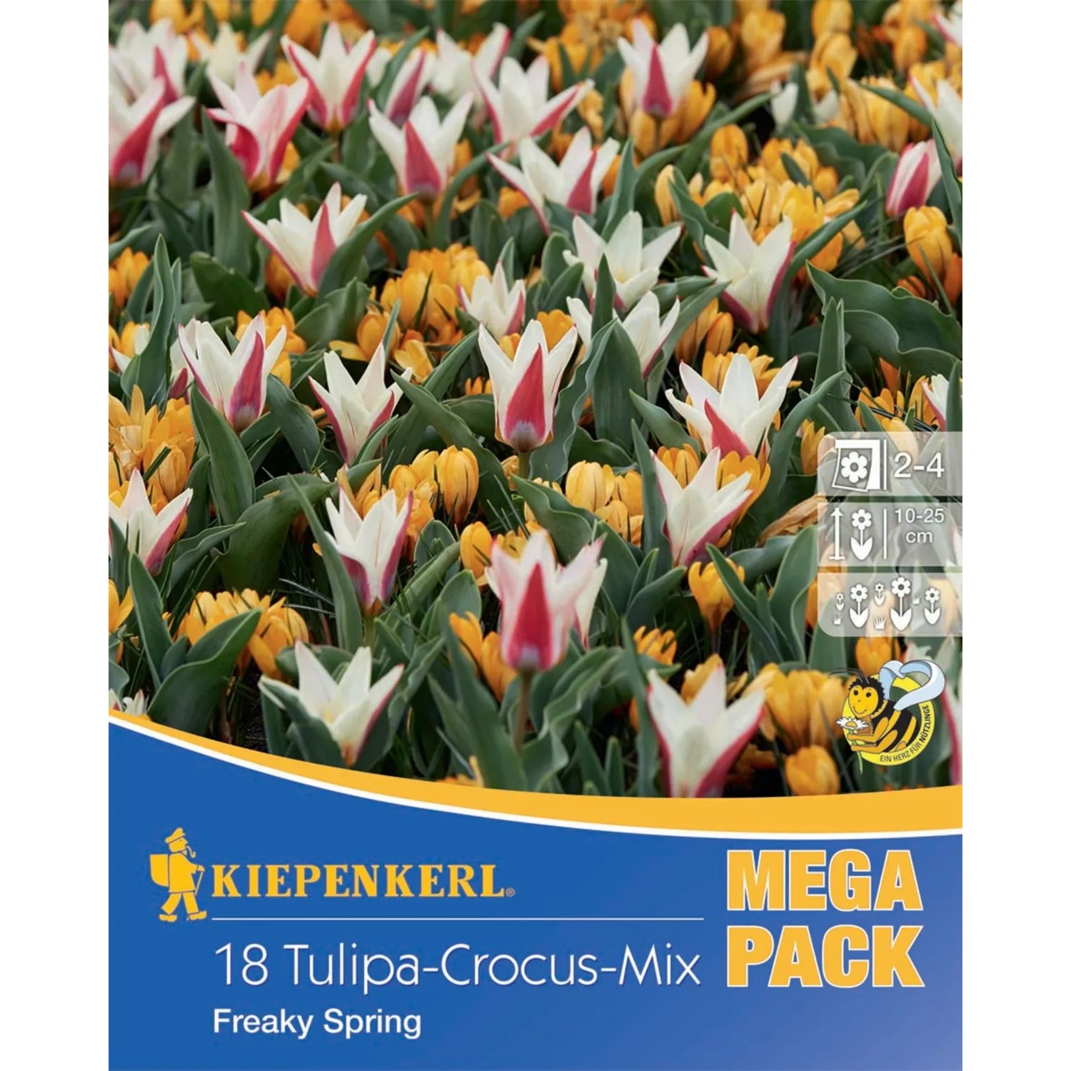 Kiepenkerl Blumenzwiebeln Tulpe-Krokus Mix Mega-Pack "Freaky Spring" 18 ...