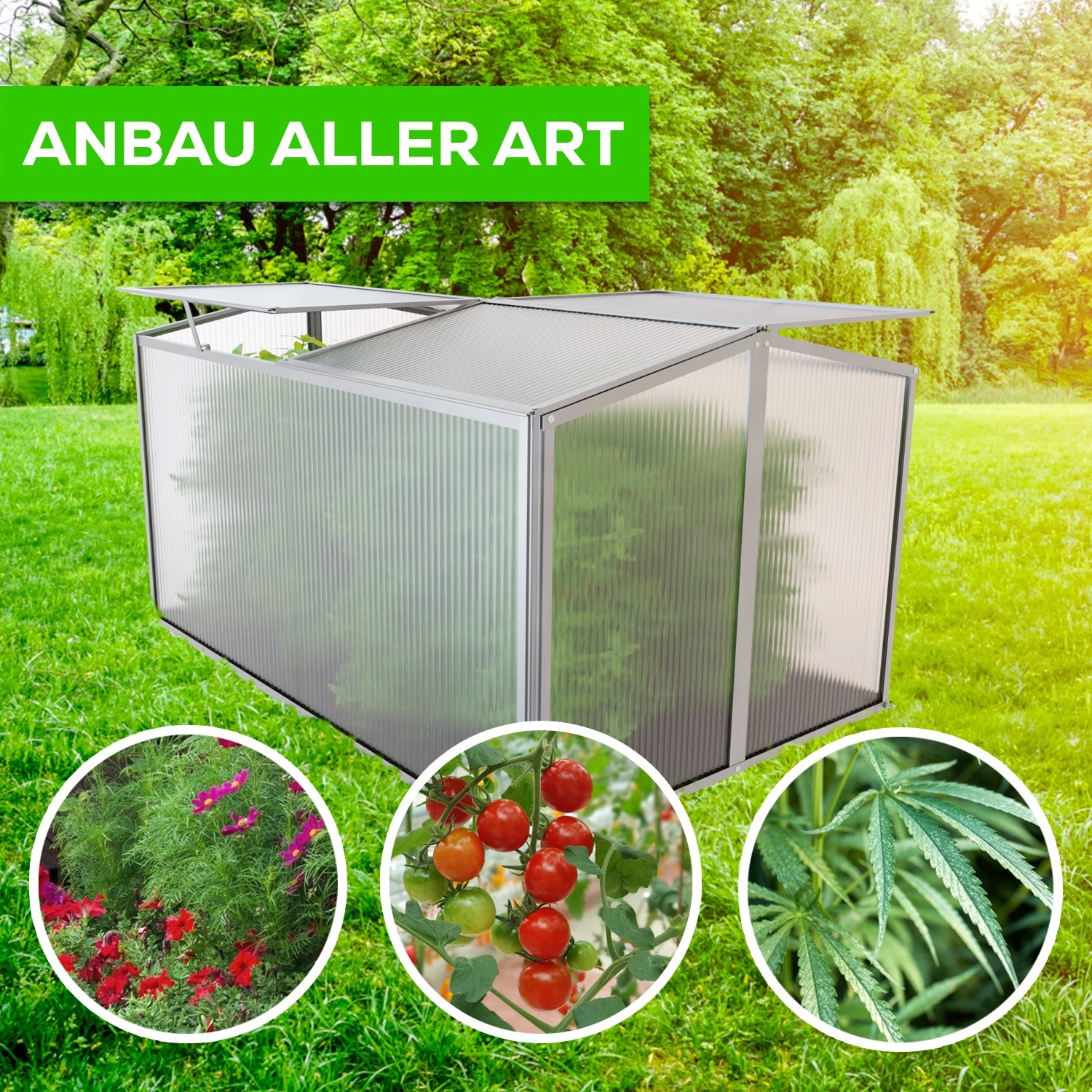 Garmio Frühbeet Mini Gewaechshaus Protea Mit Dachfenster Uv-Schutz Alu ...