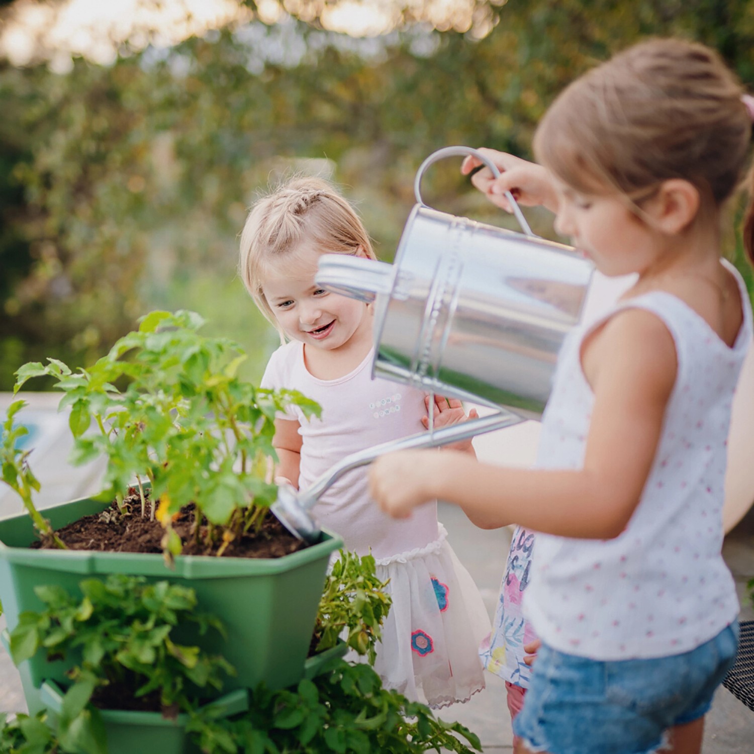 Gusta Garden Anzuchtsgefäß Paul Potato 56 L dunkelgrün kaufen bei OBI