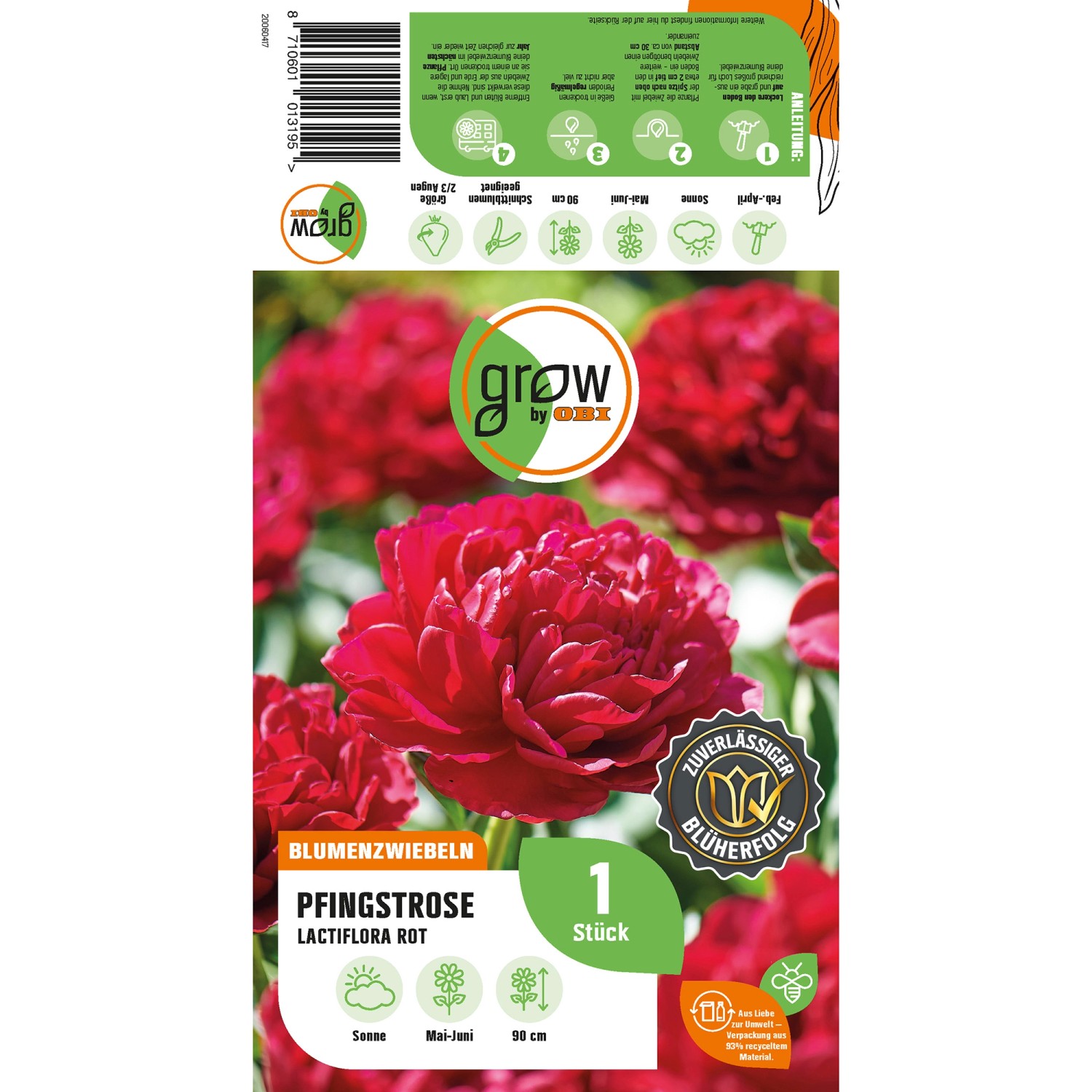 GROW by OBI Pfingstrose "Lactiflora Rot" Höhe ca. 80 cm Paeonia ...
