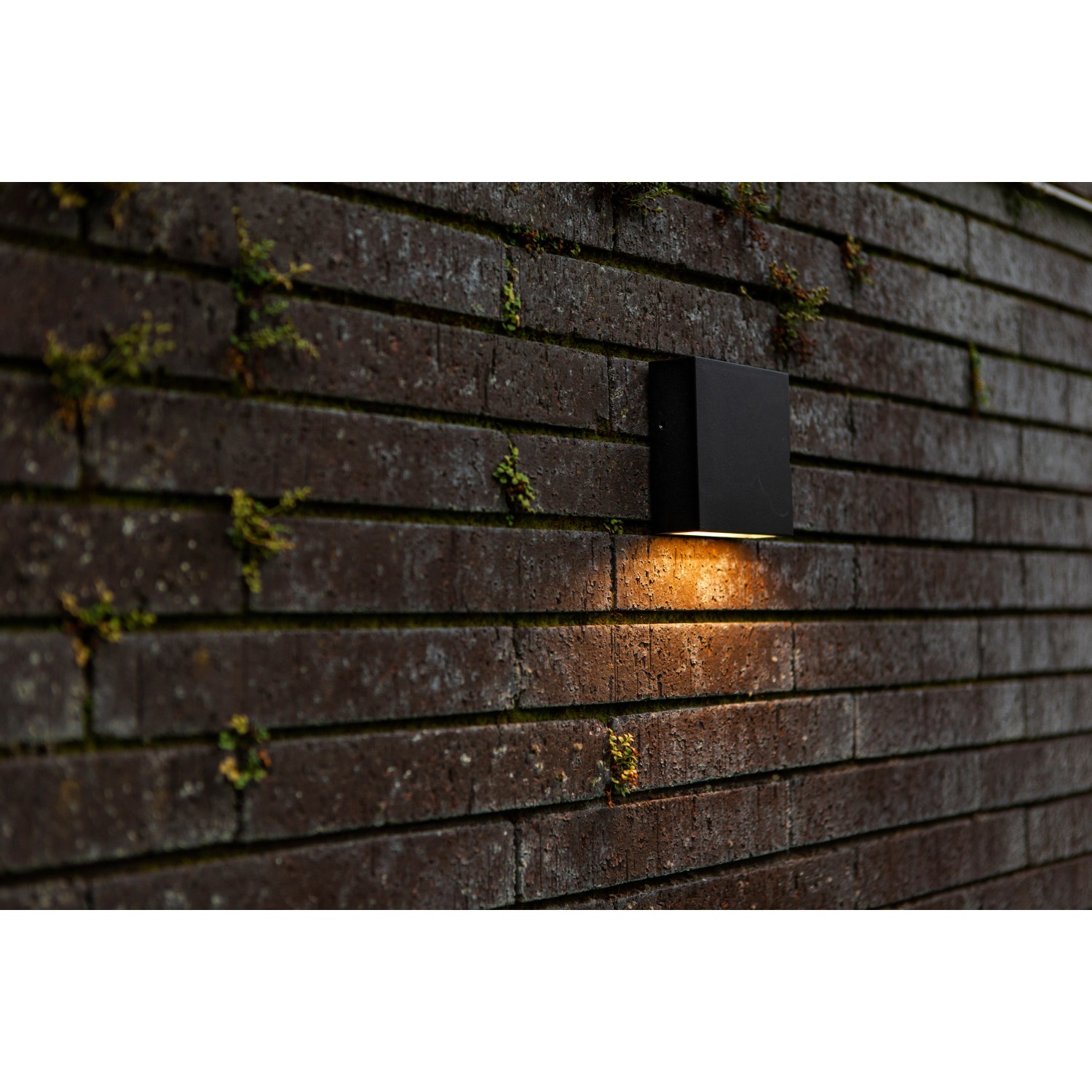 LUTEC LED Wandleuchte außen Gemini XF 11 x 11 x 3,8 cm Schwarz kaufen ...