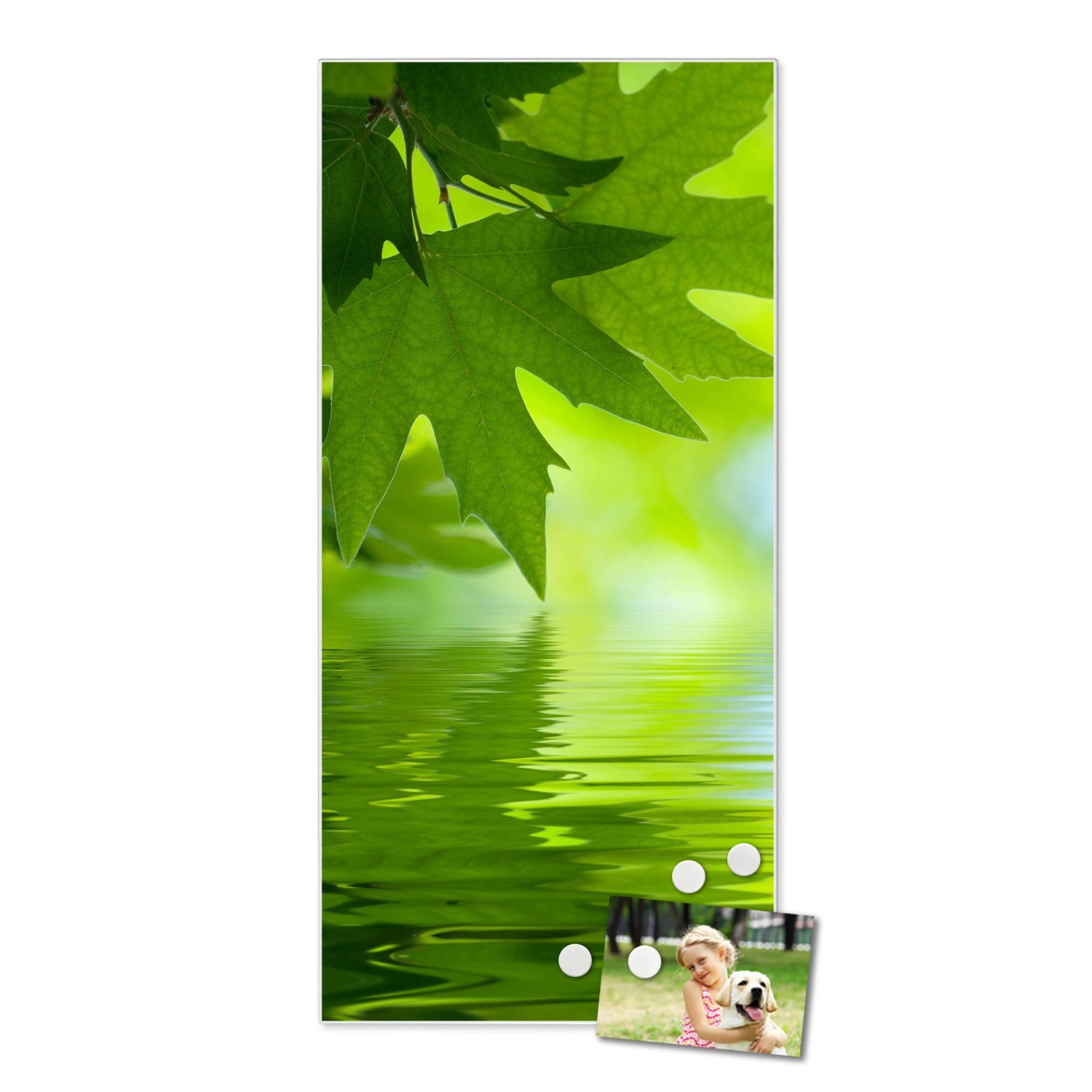 Banjado Magnettafel 37x78cm Magnetwand Weiß Aus Metall Magnetpinnwand ...