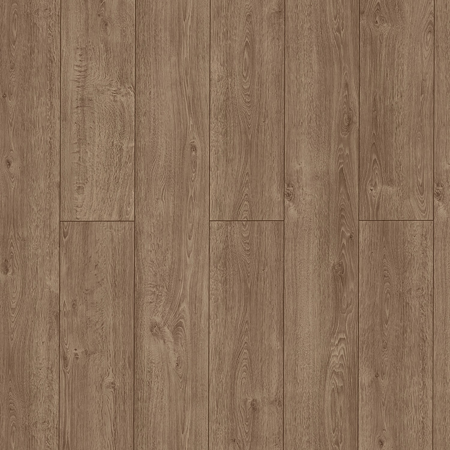 Classen Laminatboden Eiche Braun NKL 32 kaufen bei OBI