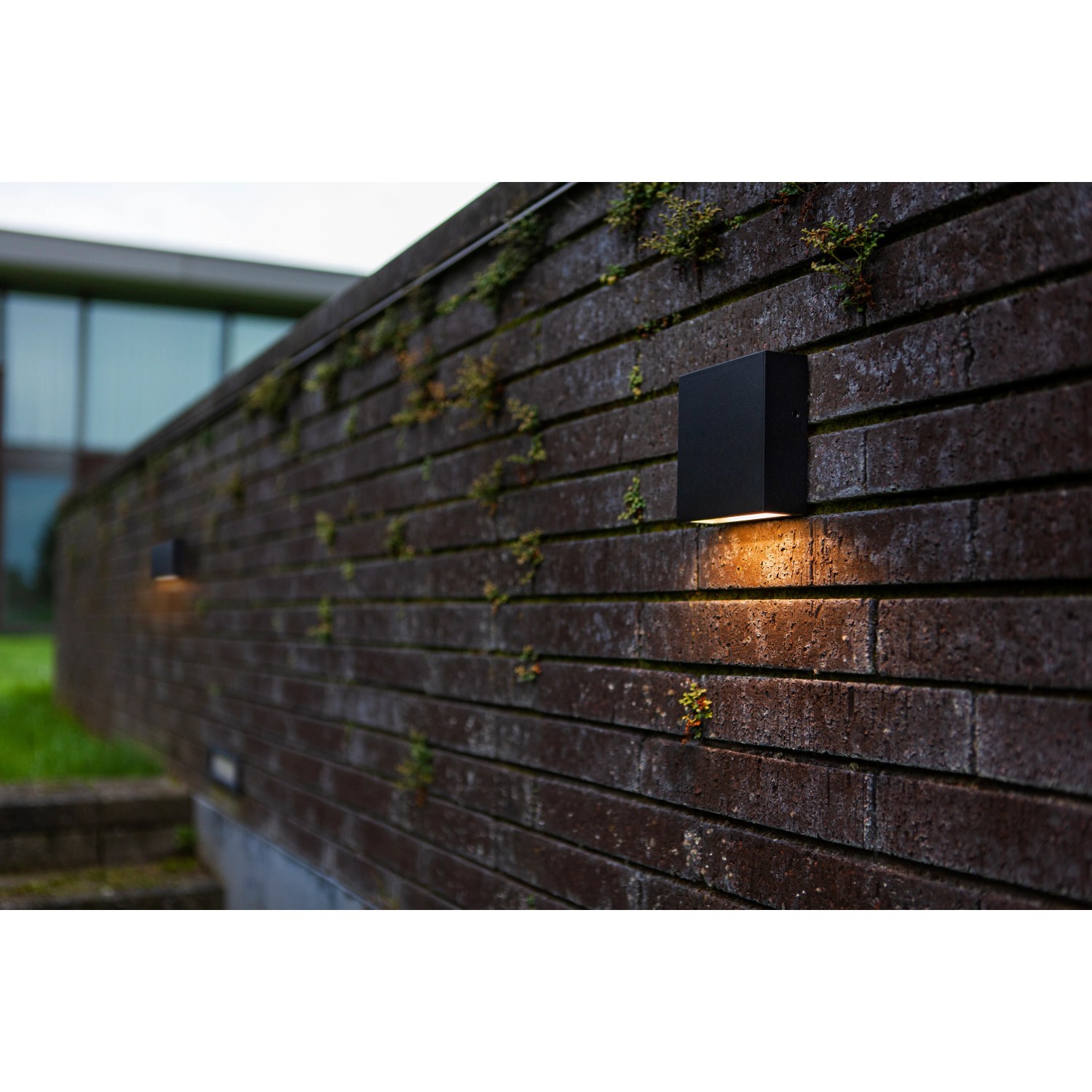 LUTEC LED Wandleuchte außen Gemini XF 11 x 11 x 3,8 cm Schwarz kaufen ...
