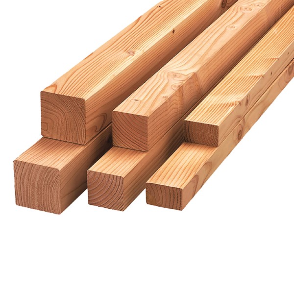 Douglasie kaufen bei OBI