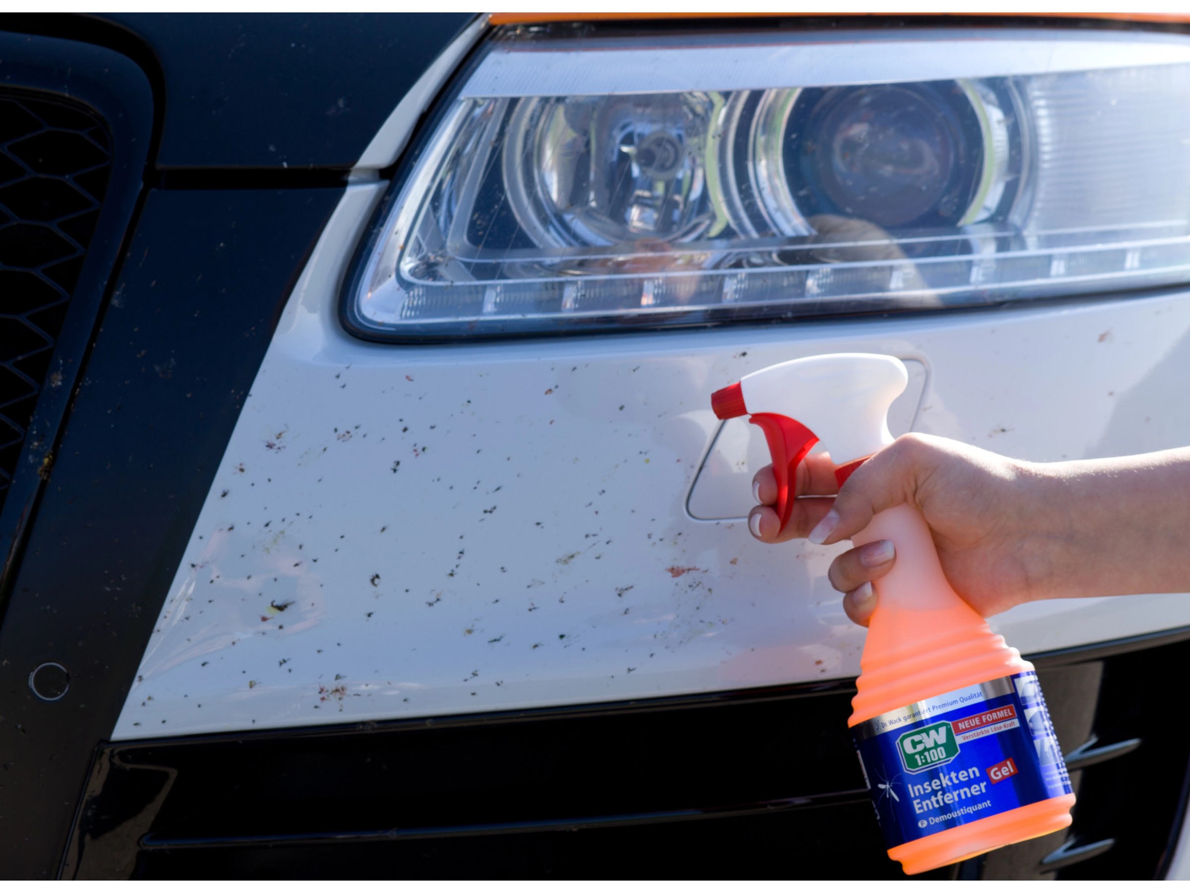 Déperlant Voiture Dr. Wack - CW1:100 Insekten-Entferner Gel 750 Ml ...