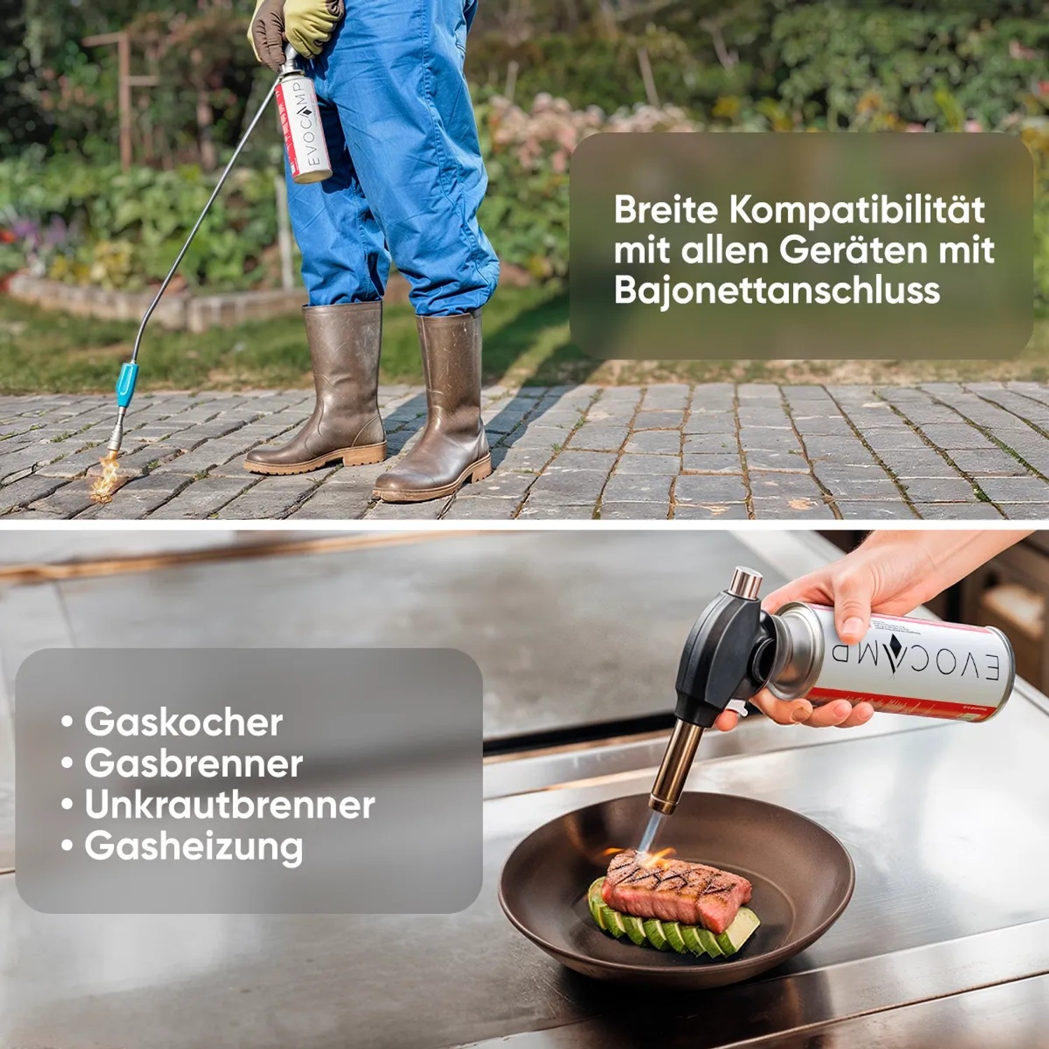 EVOCAMP MSF-1a Gaskartusche Butan 227 g 6 Stück kaufen bei OBI