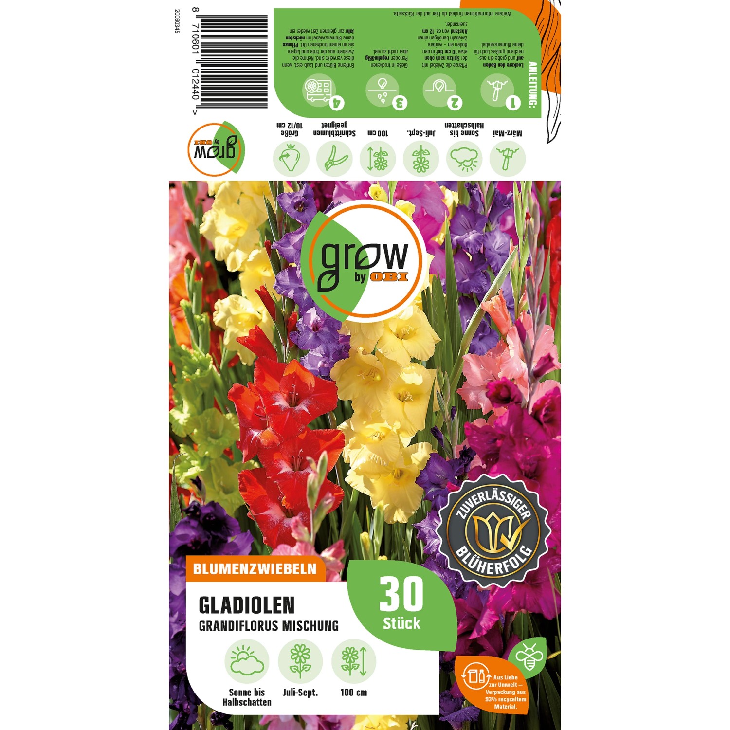 GROW by OBI Gladiolen "Grandiflorus Mischung" Höhe 100 cm Gladiolus ...