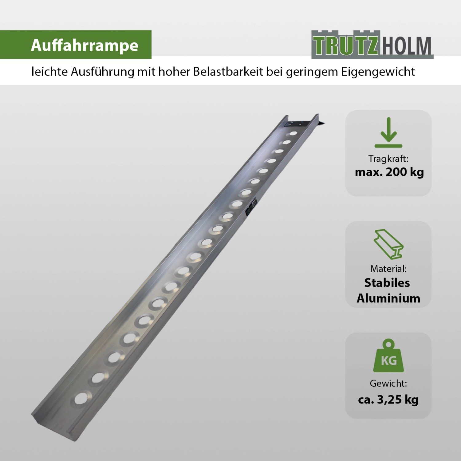 TRUTZHOLM 1 x Auffahrschiene 194cm Traglast 200kg Alu Grau kaufen bei OBI