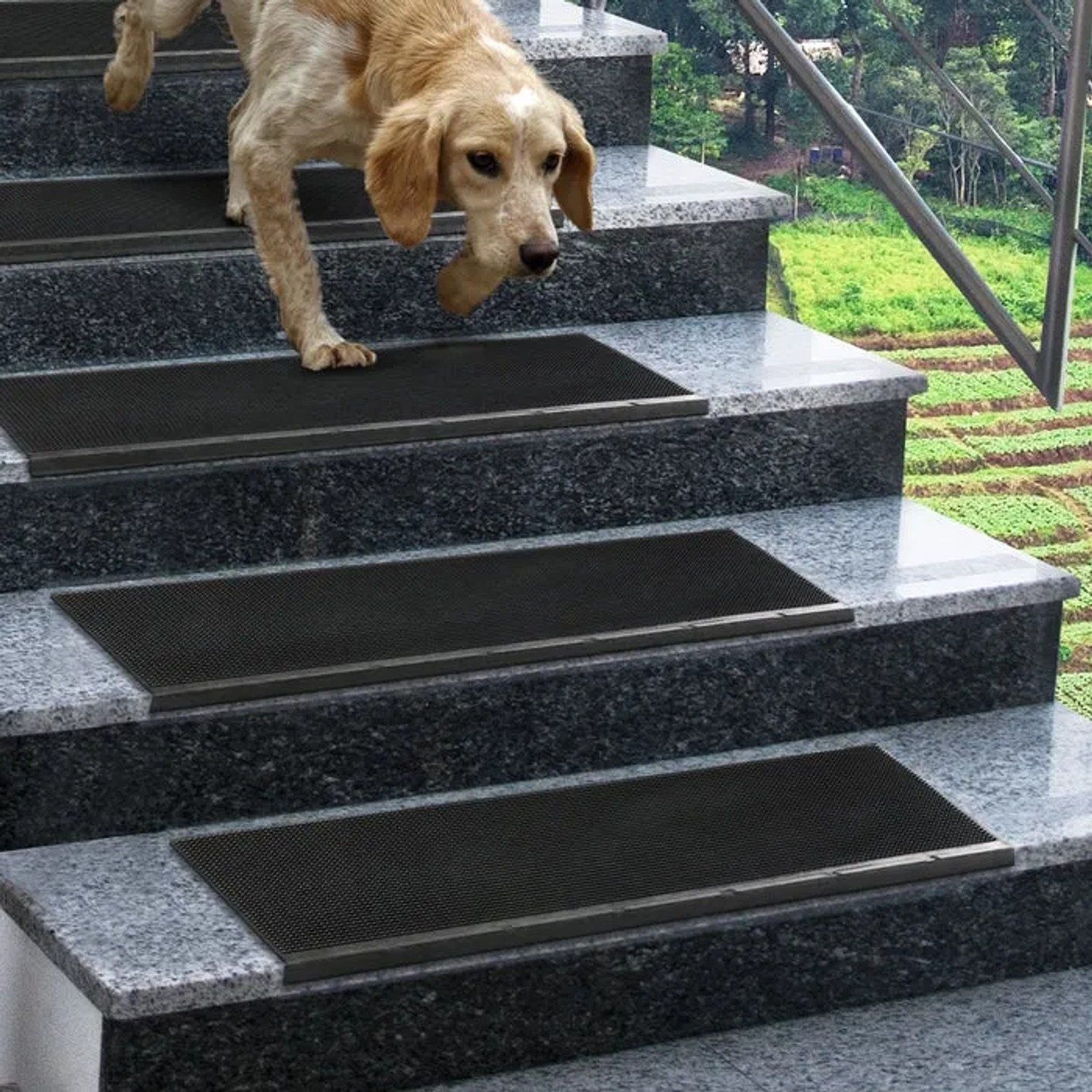 Antirutschmatte Treppe Auen