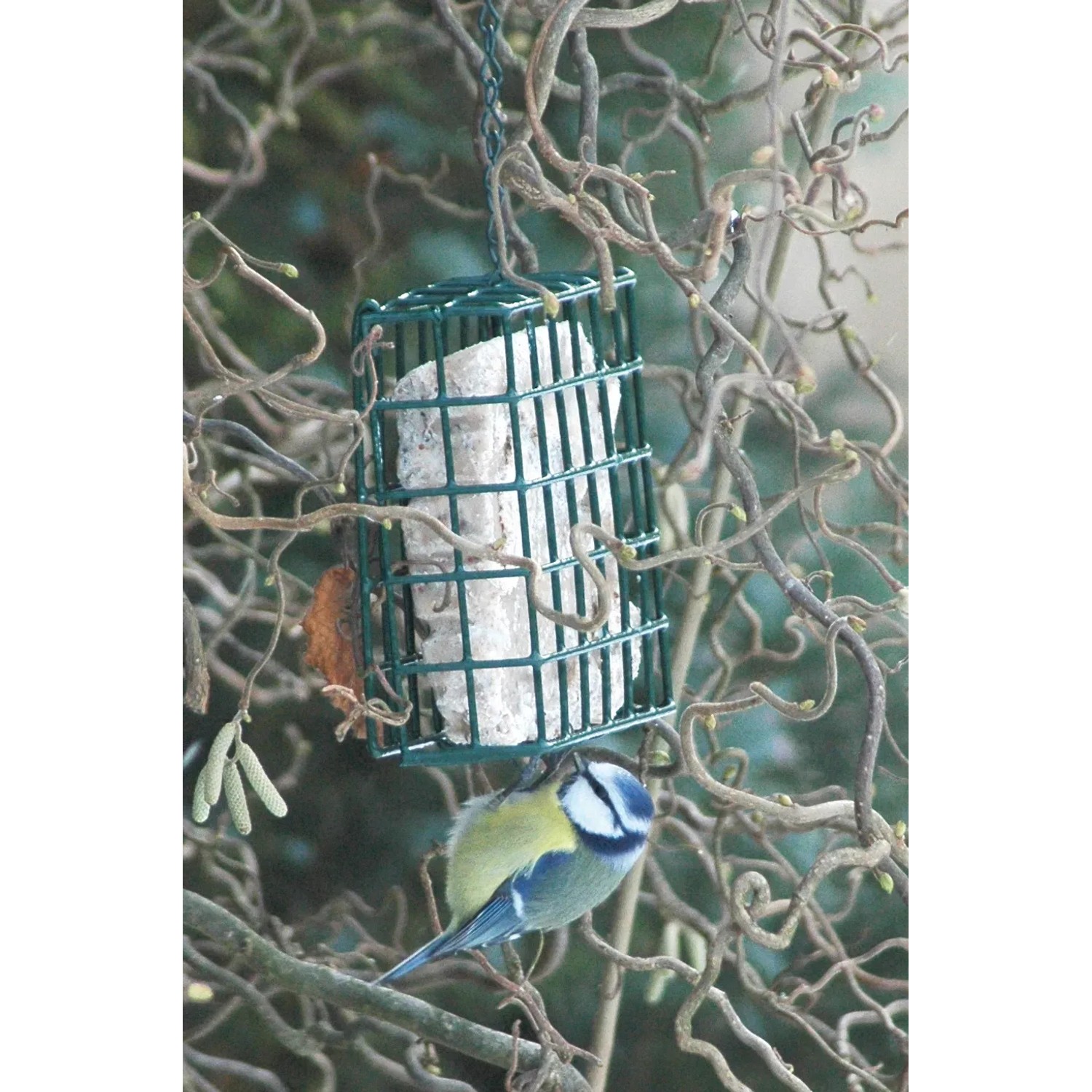 Dobar Vogelfutterspender Energieblockhalter kaufen bei OBI