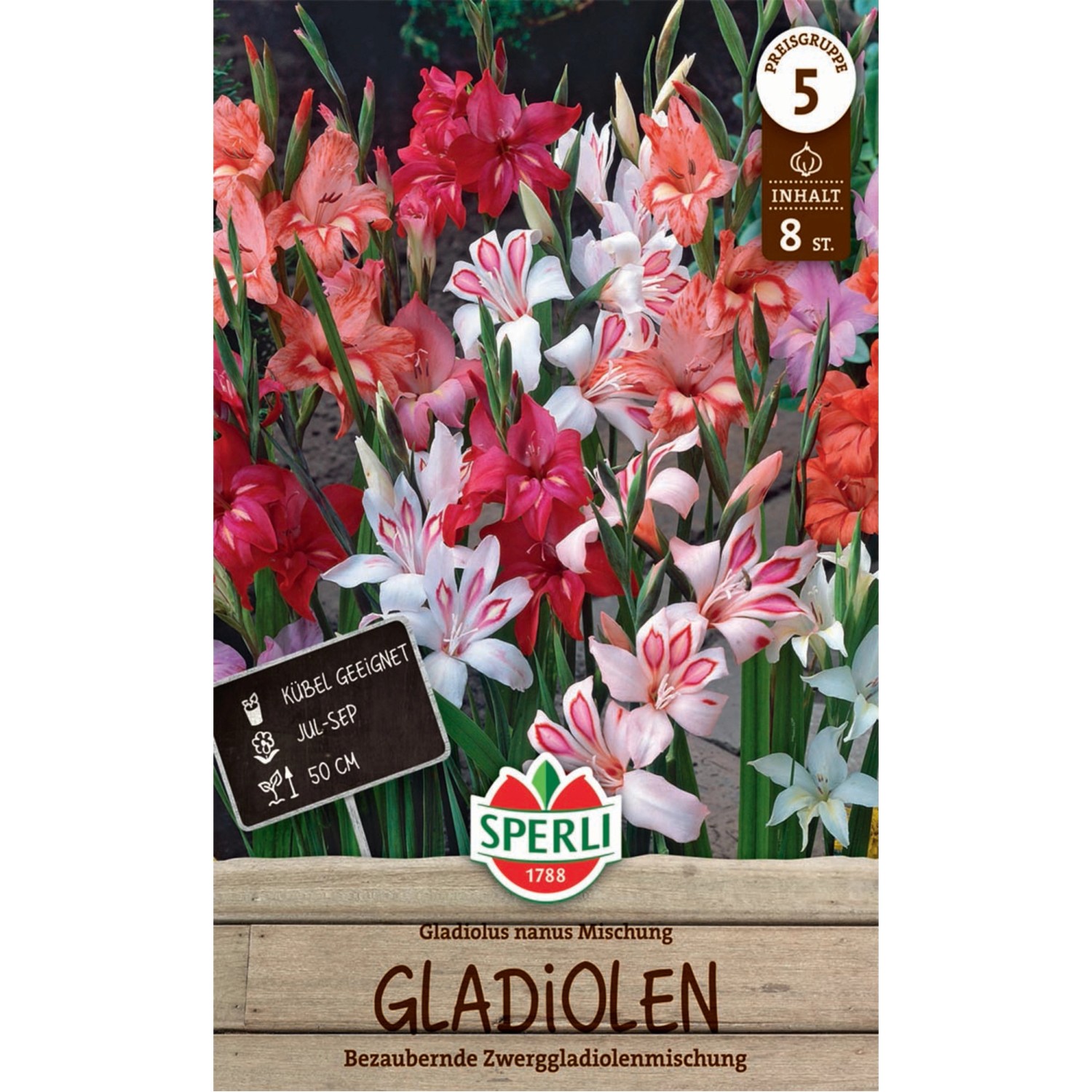 Sperli Gladiolen Nanus Mischung kaufen bei OBI
