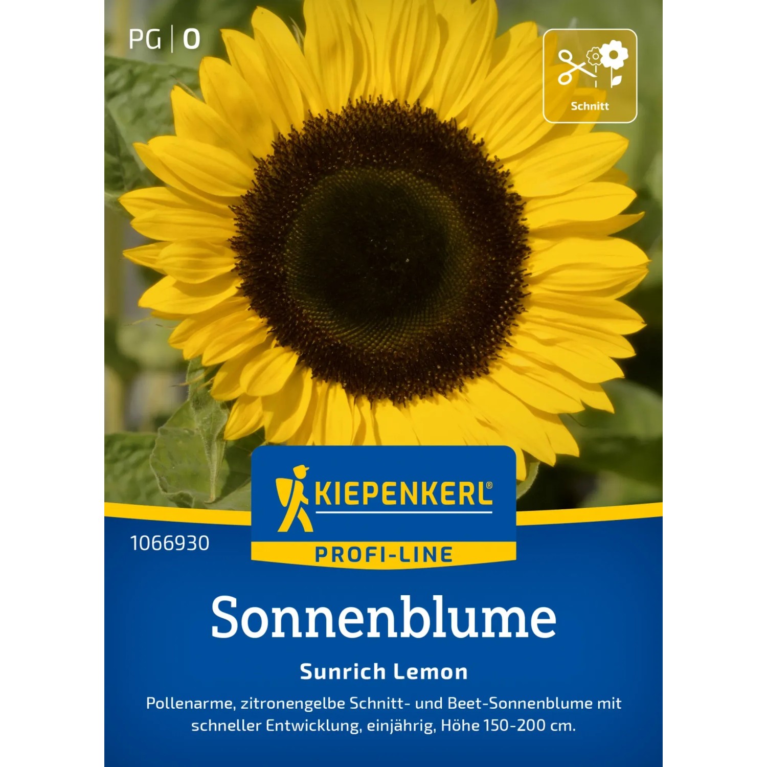 Kiepenkerl Schnittblumen Samen Sunrich Lemon F1 Gelb kaufen bei OBI