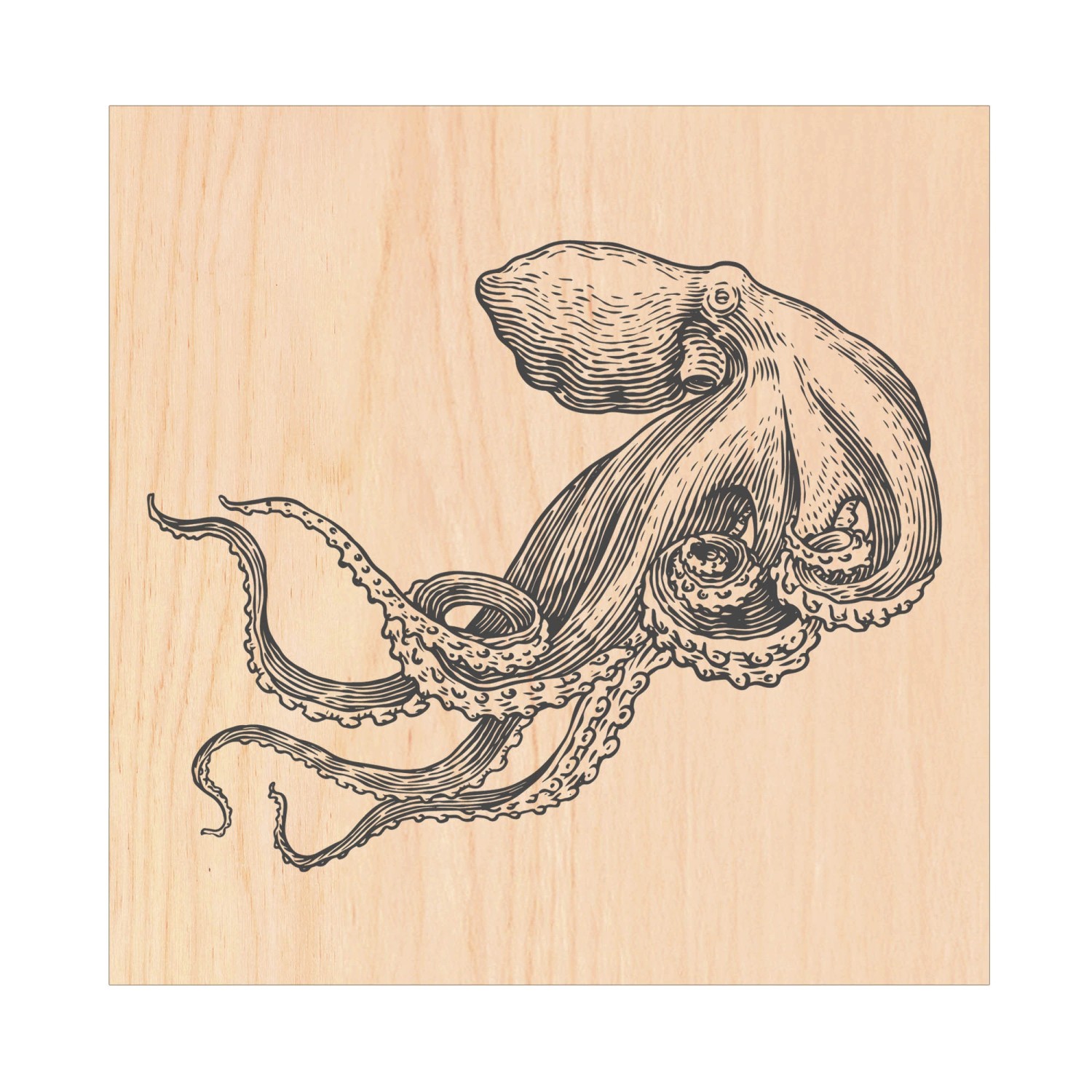 Banjado Großer Schlüsselbox Holz 30x30cm Weiß Scharnier Rechts 50 Haken ...