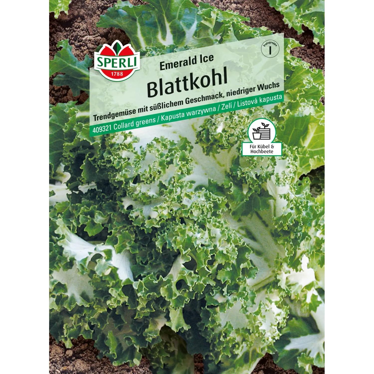 Sperli Kohl Samen Blattkohl 'Emerald Ice' kaufen bei OBI
