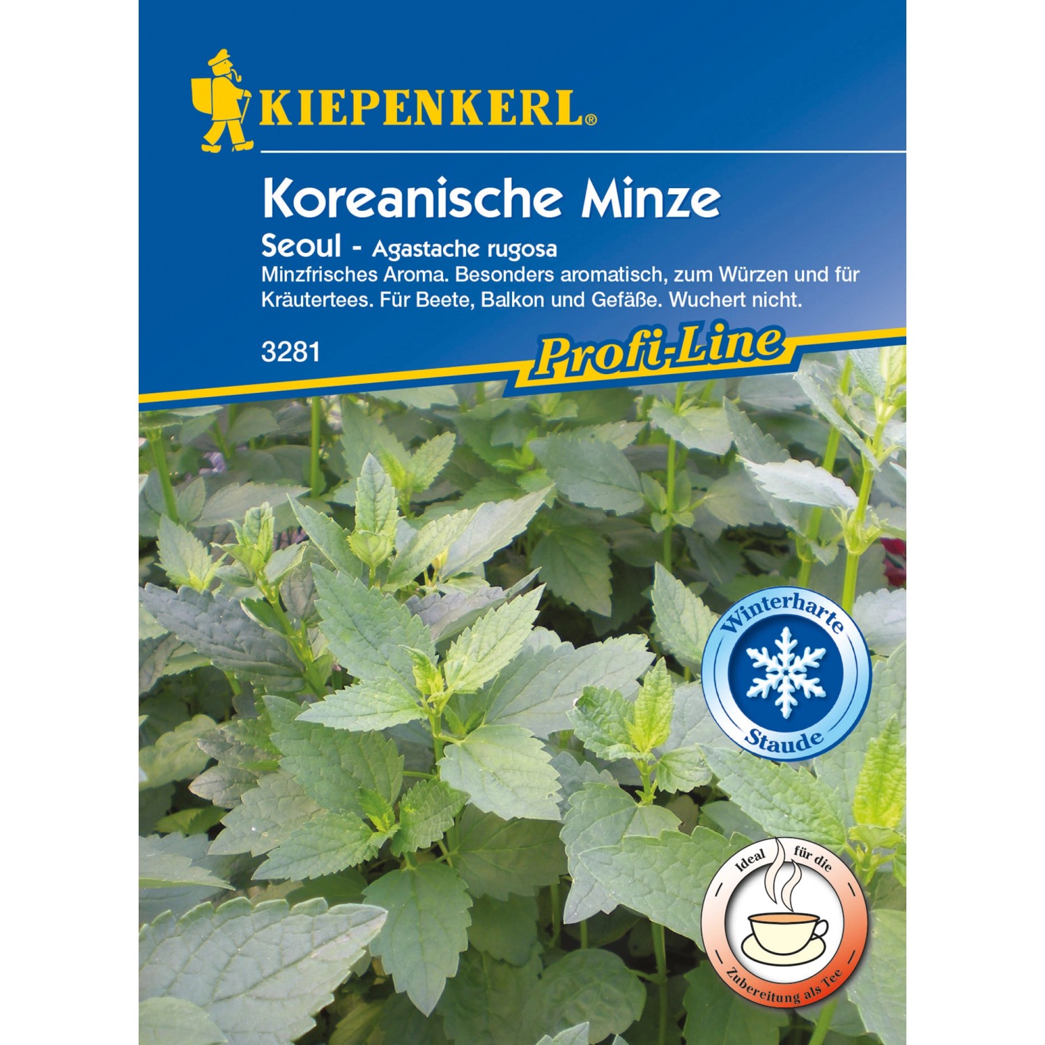 Kiepenkerl Koreanische Minze "Seoul" kaufen bei OBI