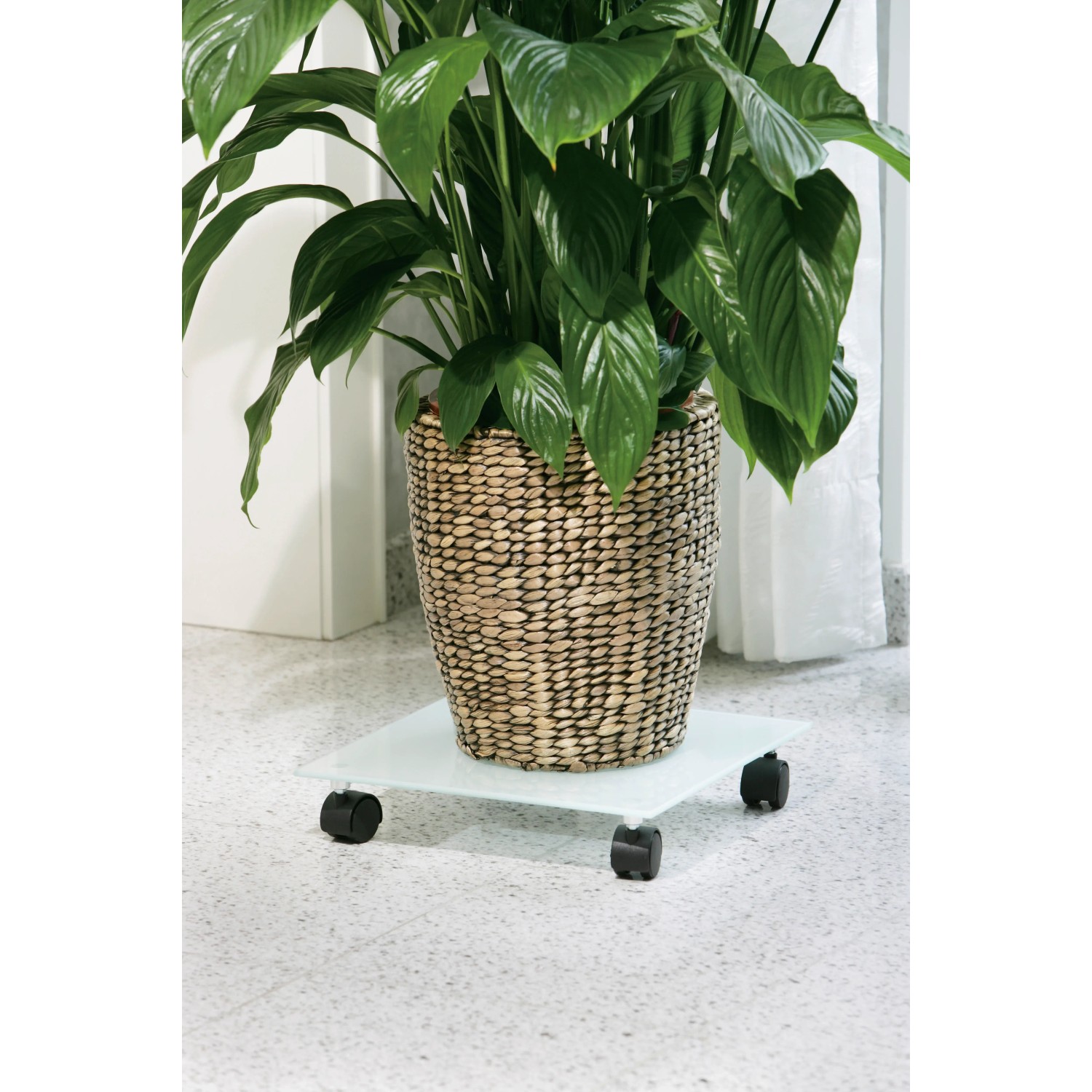 Pflanzenroller Glas Mattweiß eckig 35 cm x 35 cm kaufen bei OBI