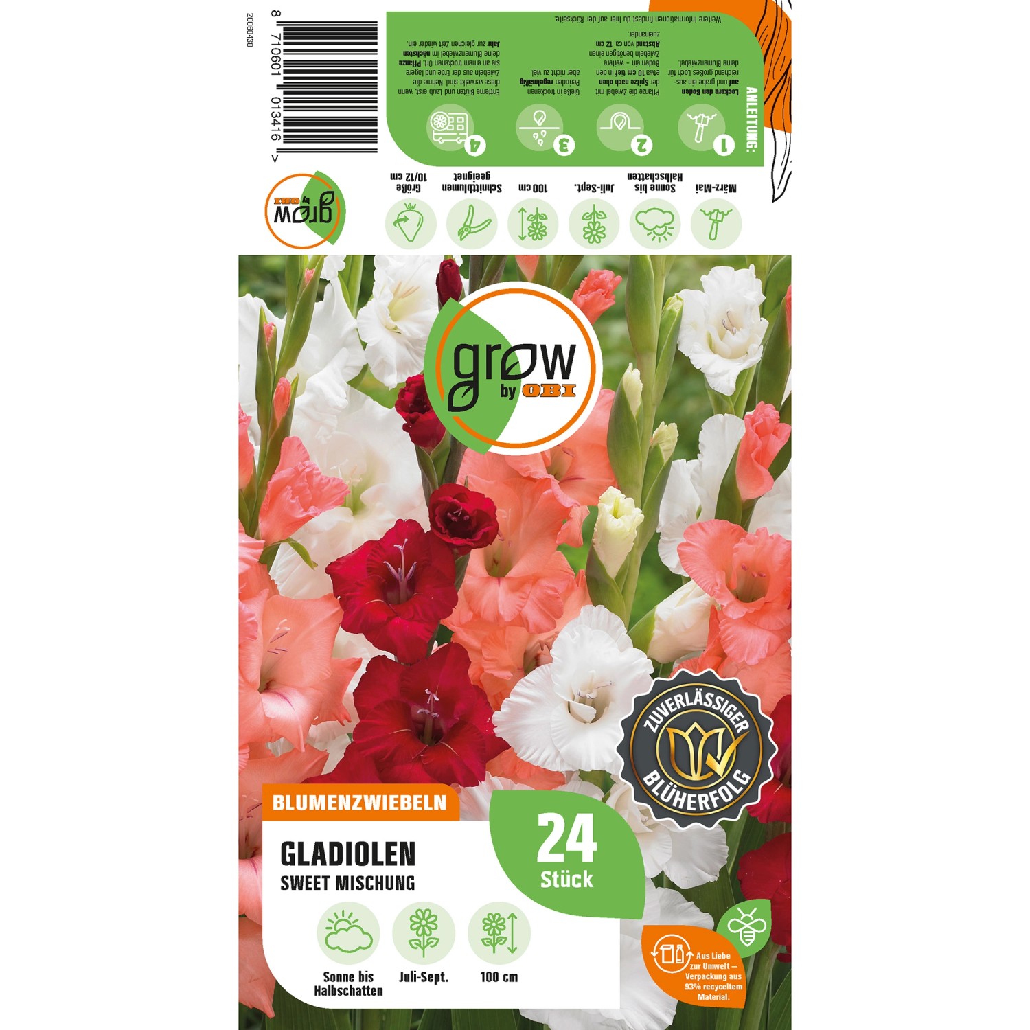 GROW by OBI Gladiolen "Sweet Mischung" Höhe ca. 100 cm Gladiolus ...