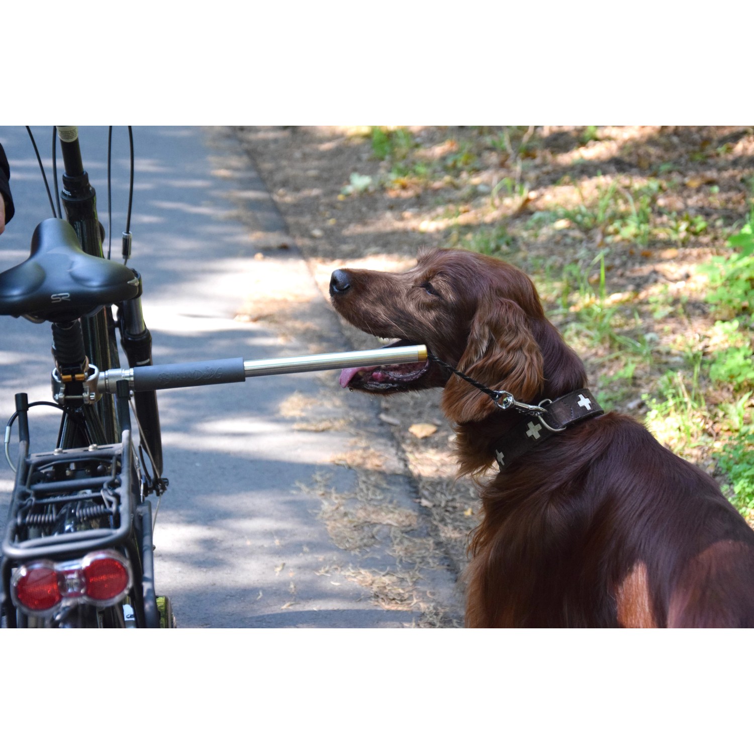 Fahrrad Hundeleine Walky Dog Plus kaufen bei OBI