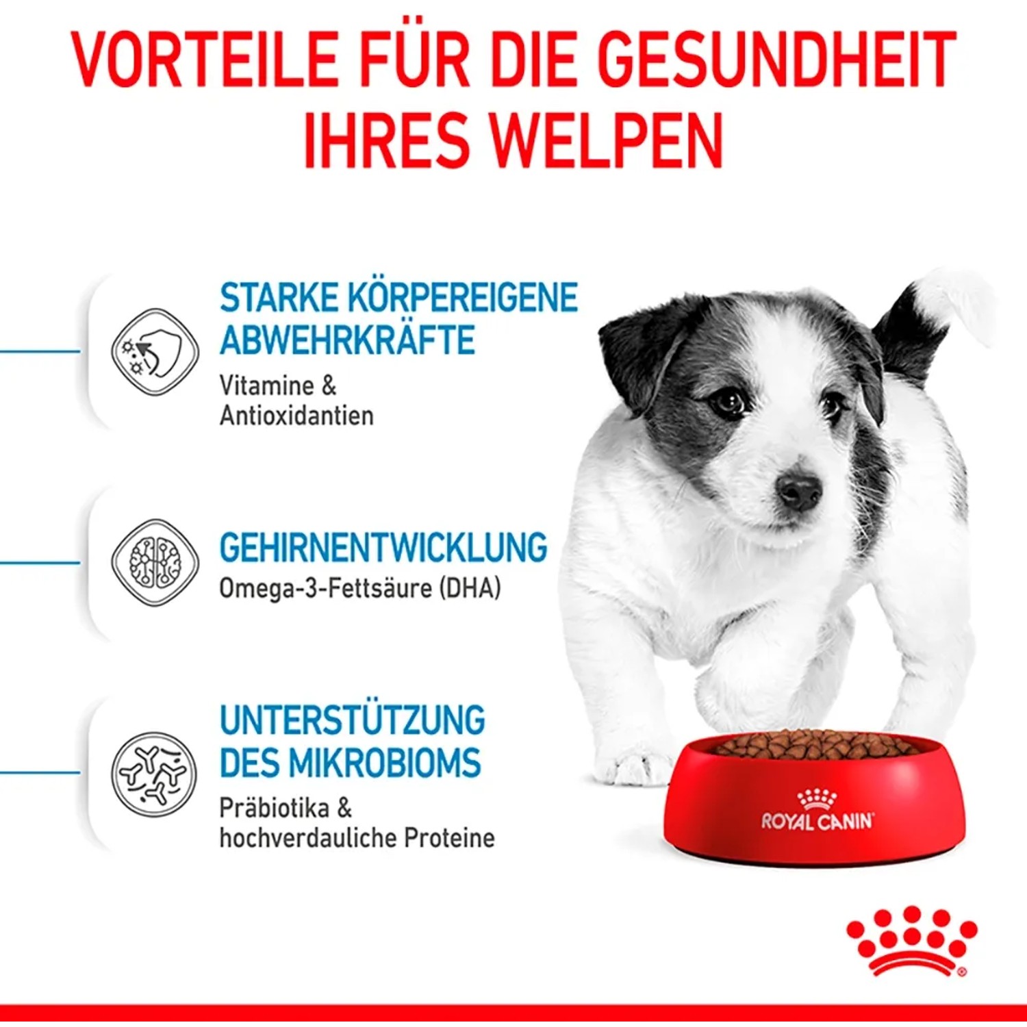 Royal Canin Welpenfutter Mini Puppy 2 kg kaufen bei OBI
