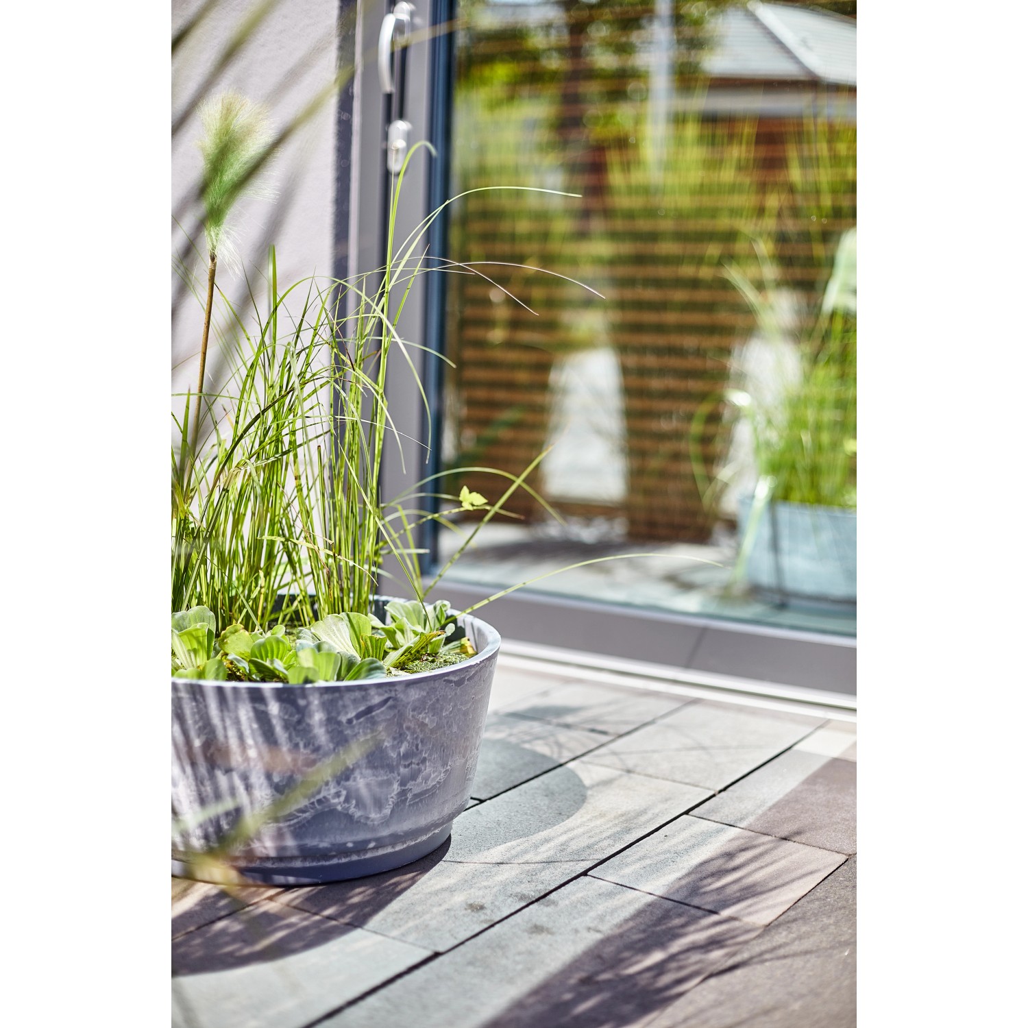 Heissner Solar-Wassergarten Aquatopia kaufen bei OBI