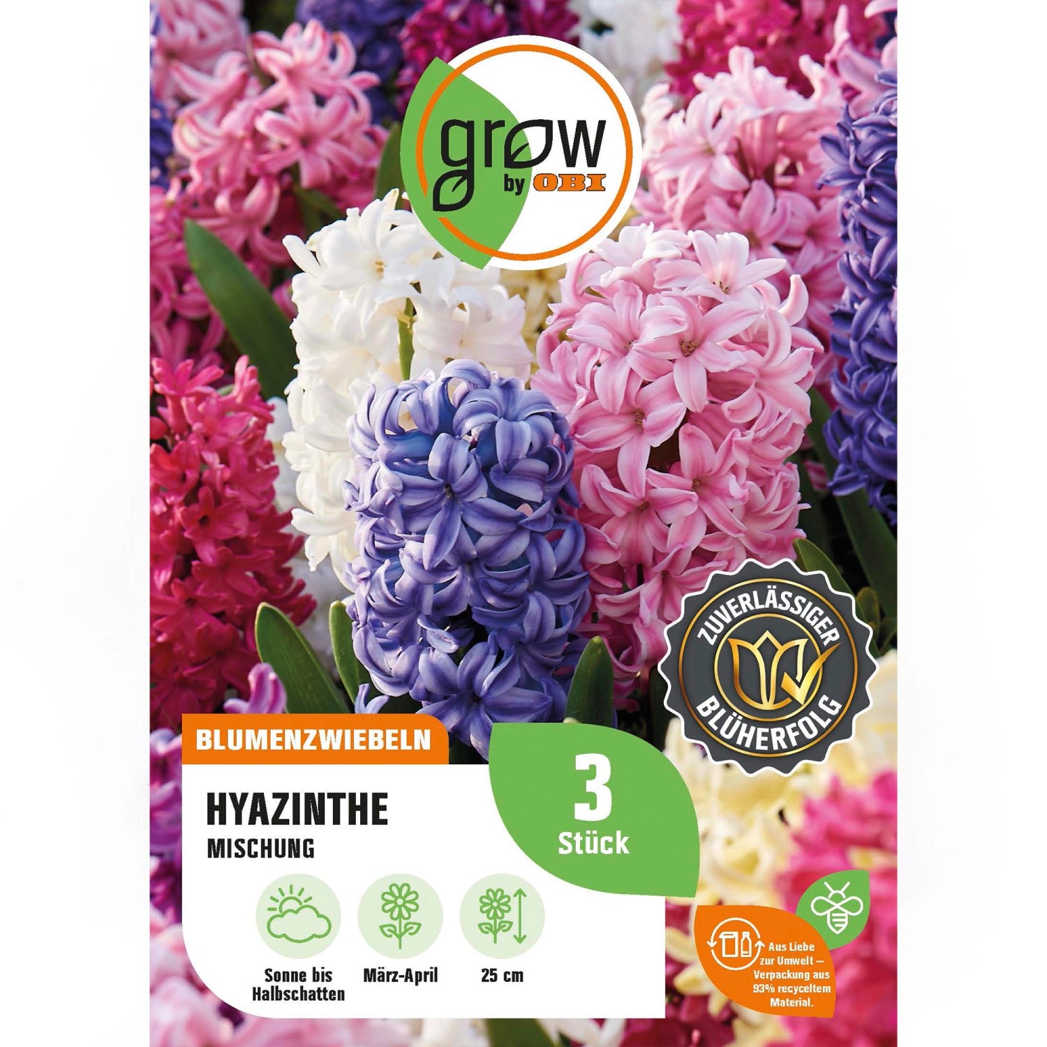 GROW by OBI Hyazinthen Mischung 3 Stück Hyacinthus orientalis Mixed kaufen bei OBI