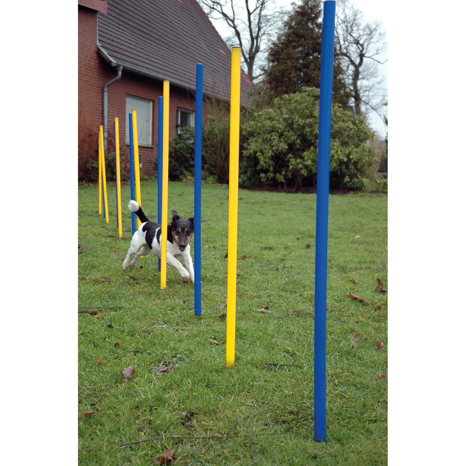 Dobar Hund Agility Slalom Set 12 Stangen inkl. Tragetasche kaufen bei OBI