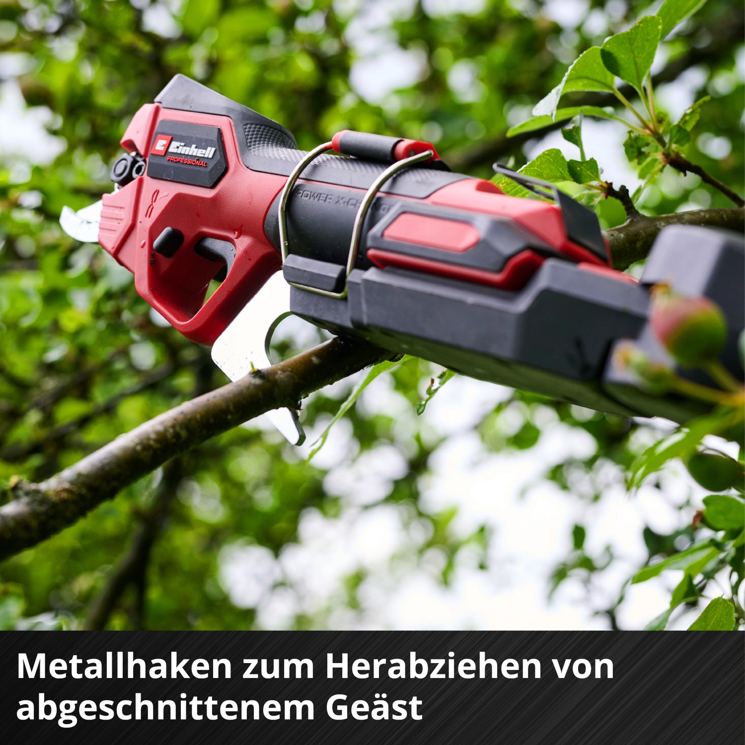 Einhell Akku-Astschere Professional GP-LS 18/28 Li T BL-Solo kaufen bei OBI
