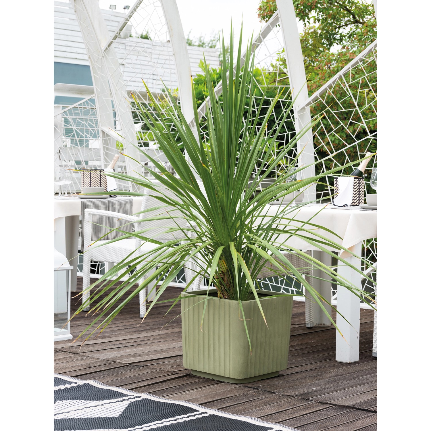 Deroma Pflanztopf Quadro Link 2er Set Olive kaufen bei OBI