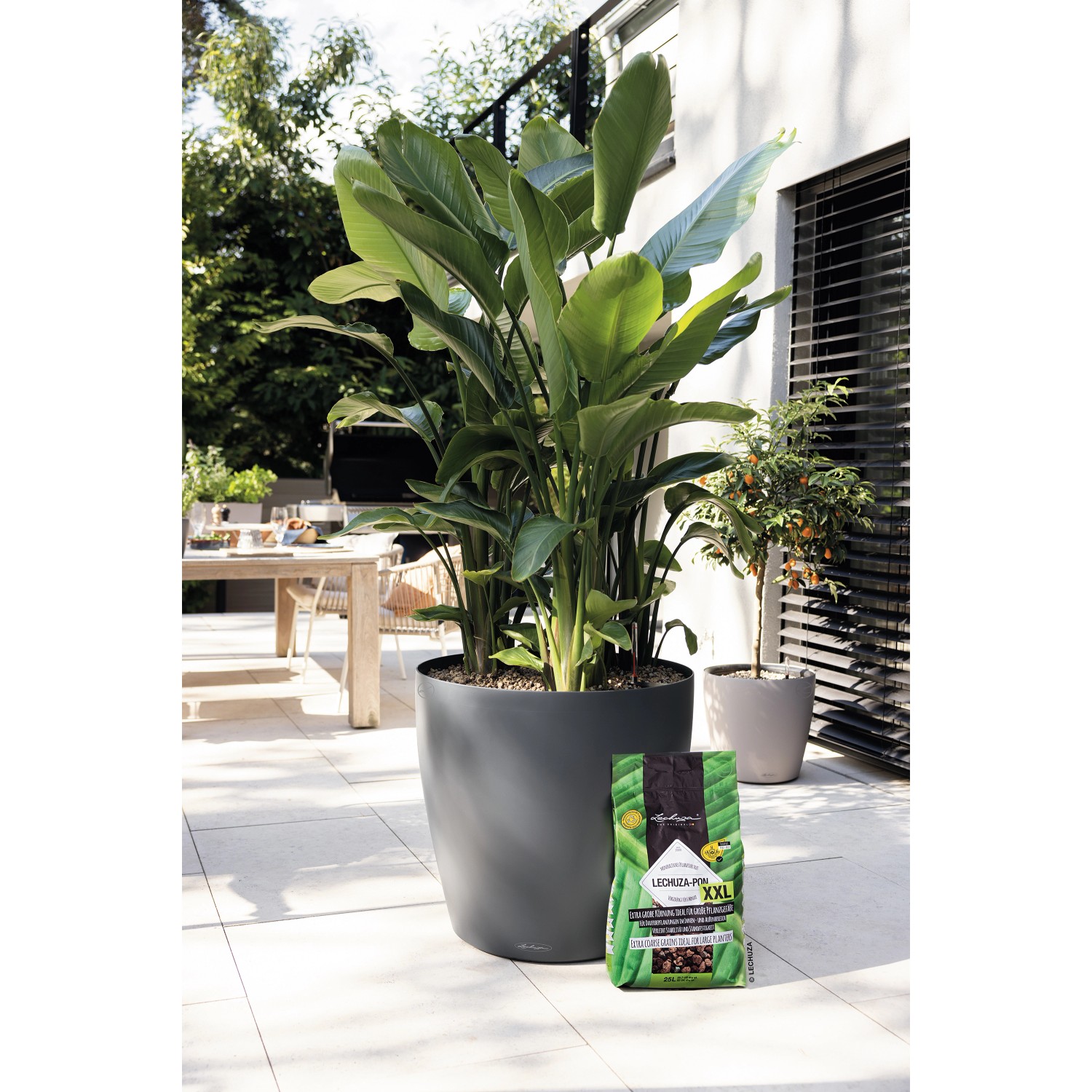 Lechuza Pflanzsubstrat Pon XXL 25 l Neutral kaufen bei OBI
