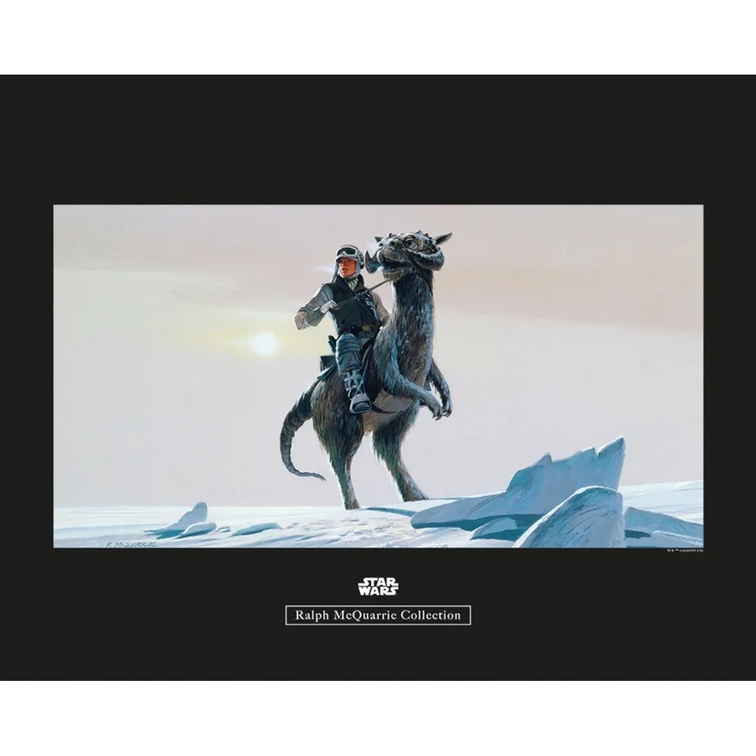 Komar Wandbild Star Wars Tauntaun 50 x 40 cm kaufen bei OBI