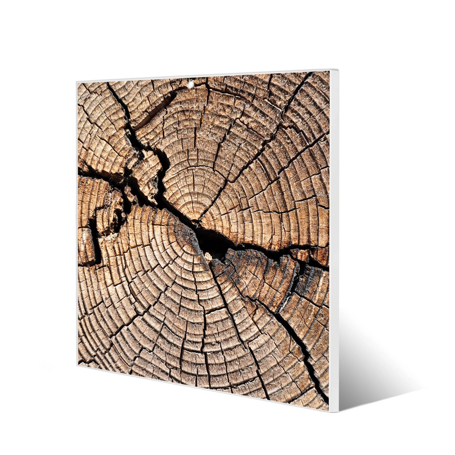 Banjado Magnettafel 50x50cm Magnetwand Weiß Aus Metall Magnetpinnwand ...