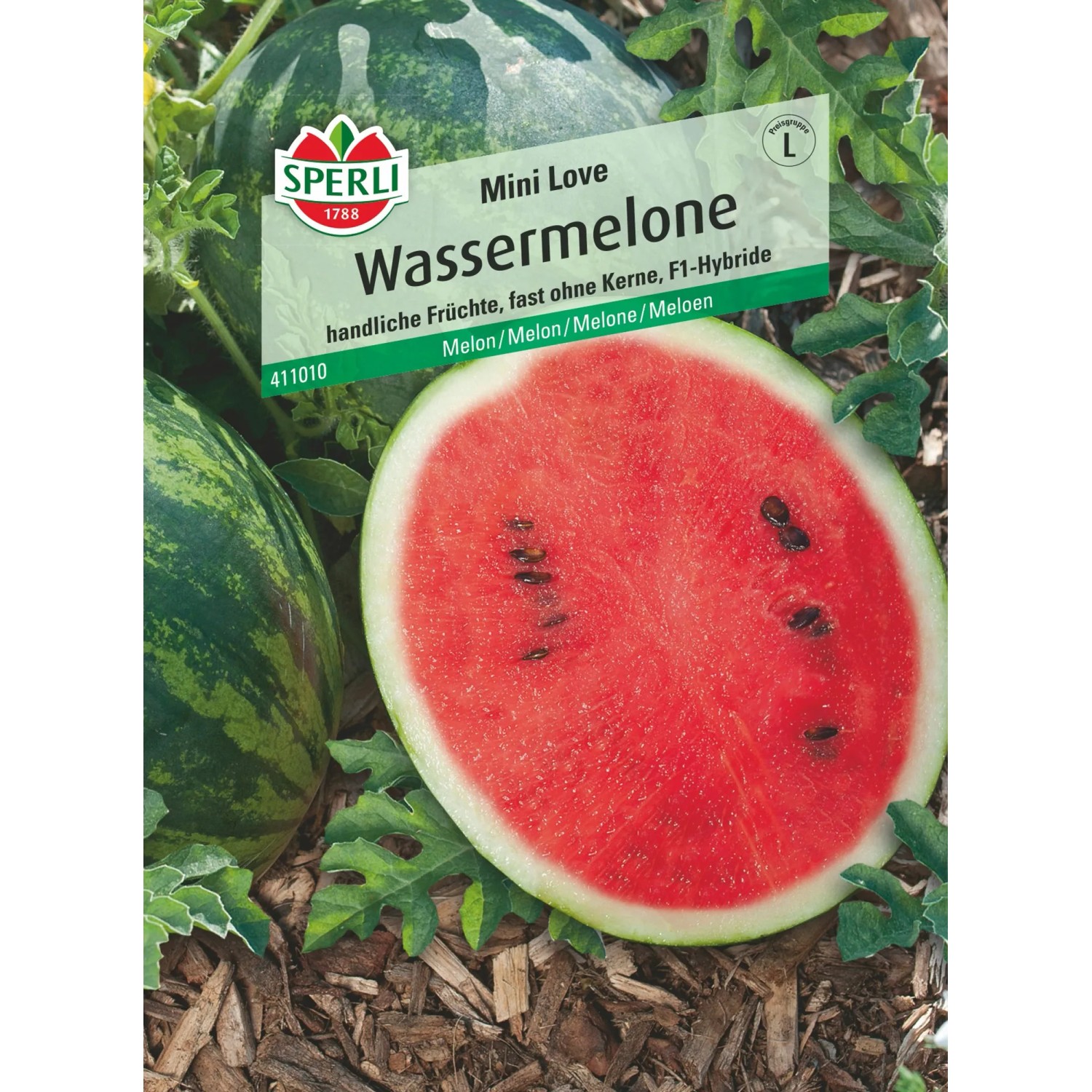 Wassermelone Samen Kaufen