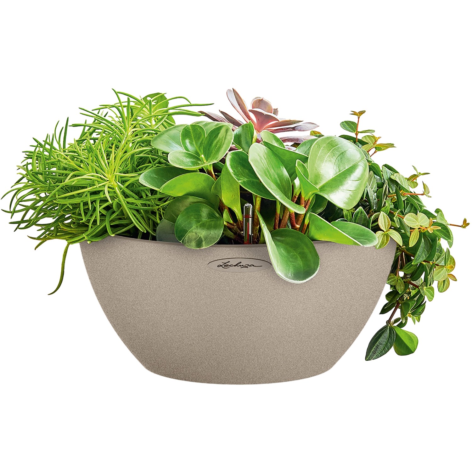 Lechuza Pflanzgefäß Cubeto Stone 40 Sandbeige Ø 40 cm kaufen bei OBI