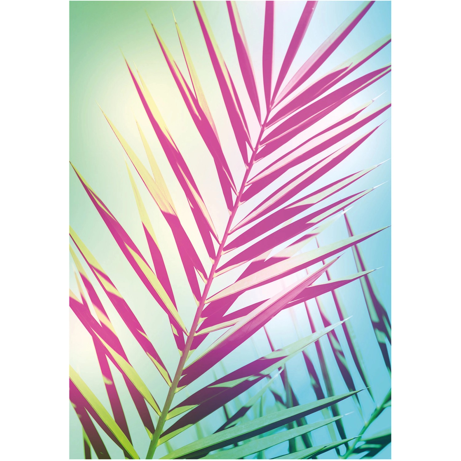 Komar Wandbild Shine 50 x 70 cm kaufen bei OBI