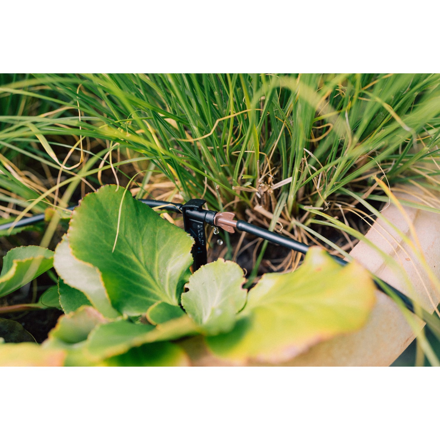 Geka Drip Set Bewässerungssystem Balkon/Terrasse Ø 6 mm kaufen bei OBI