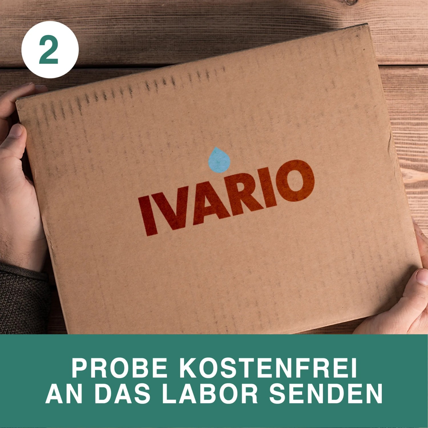Ivario Bodentest Schadstoffe 7 Prüfwerte kaufen bei OBI