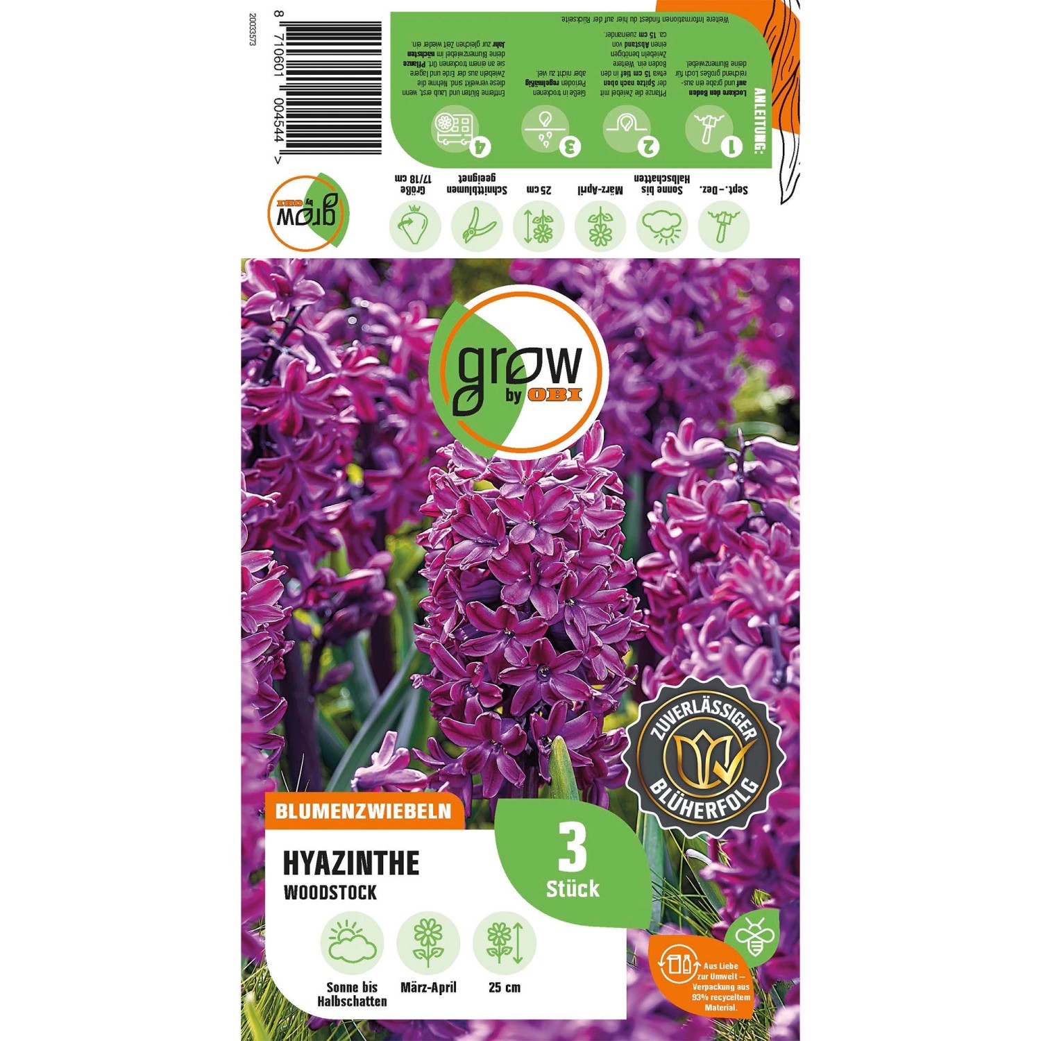 GROW by OBI Hyazinthe "Woodstock" Purpur 25 cm Hyacinthus orientalis kaufen bei OBI