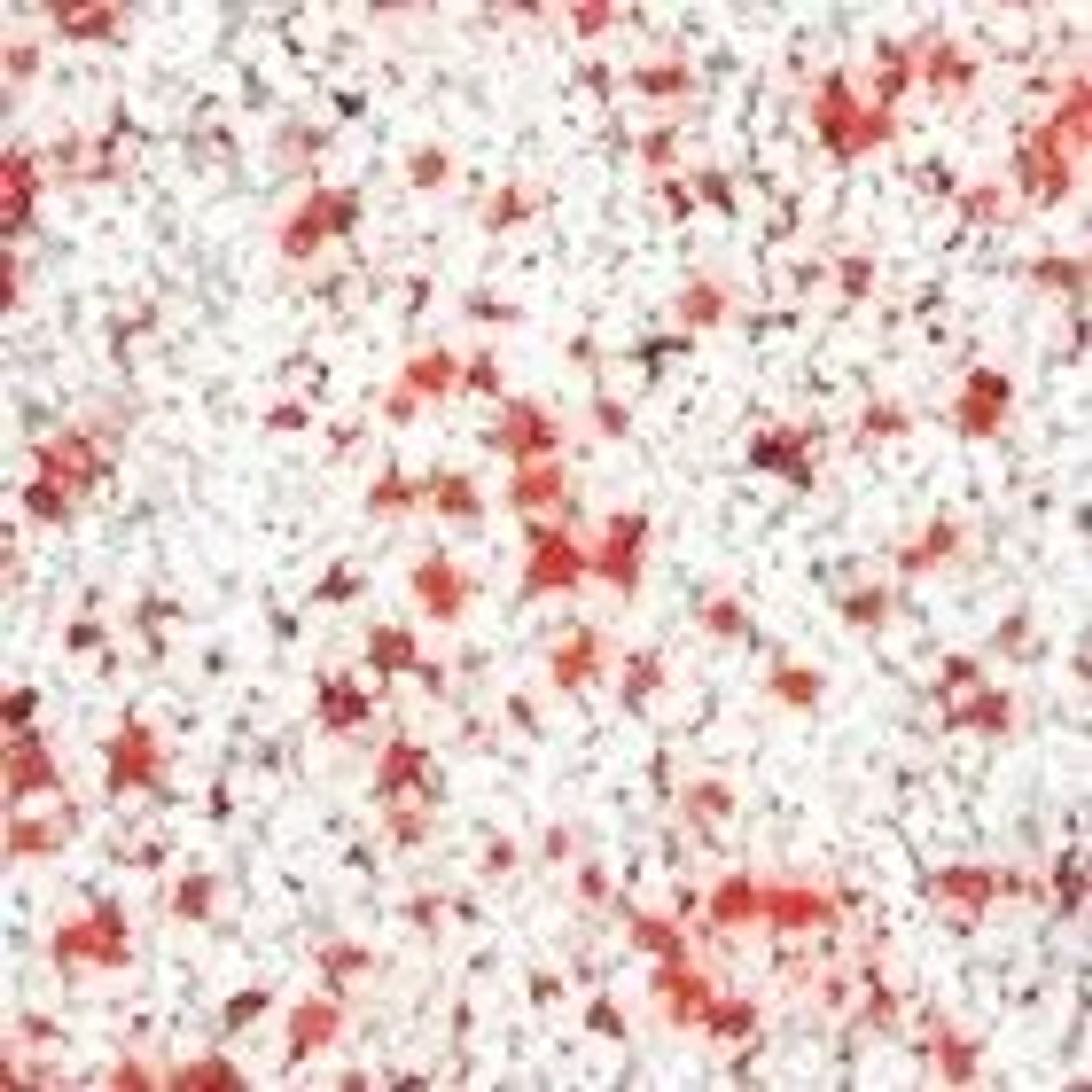 Terralith Buntsteinputz Mosaikputz 2mm -15 kg- BSP94 Weiss Rot