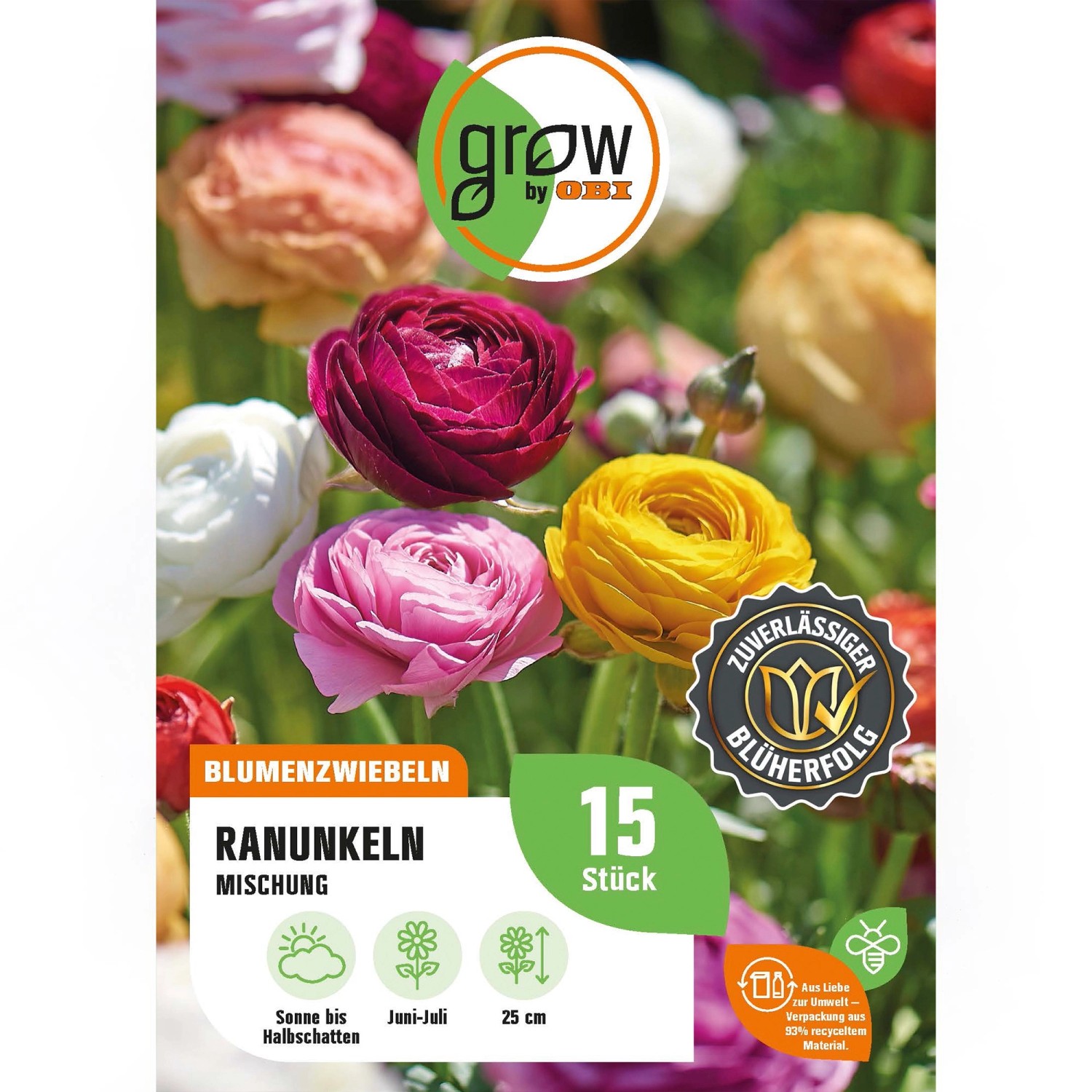 GROW by OBI Ranunkeln Mischung 15 Stück Ranunculus asiaticus Mixed ...