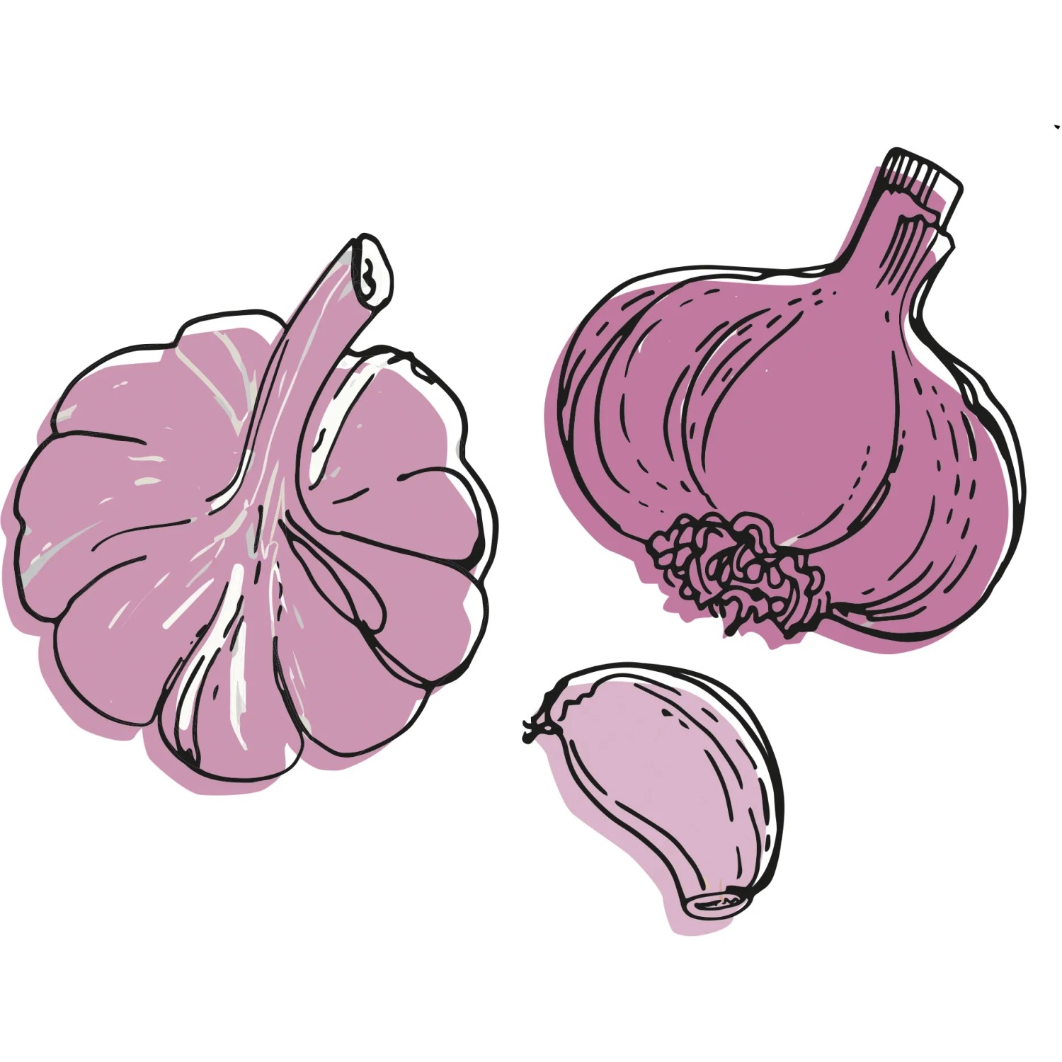 GROW by OBI Küchen Garten Knoblauch "Morado" Violett kaufen bei OBI