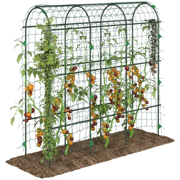 Rankhilfen Fur Tomaten