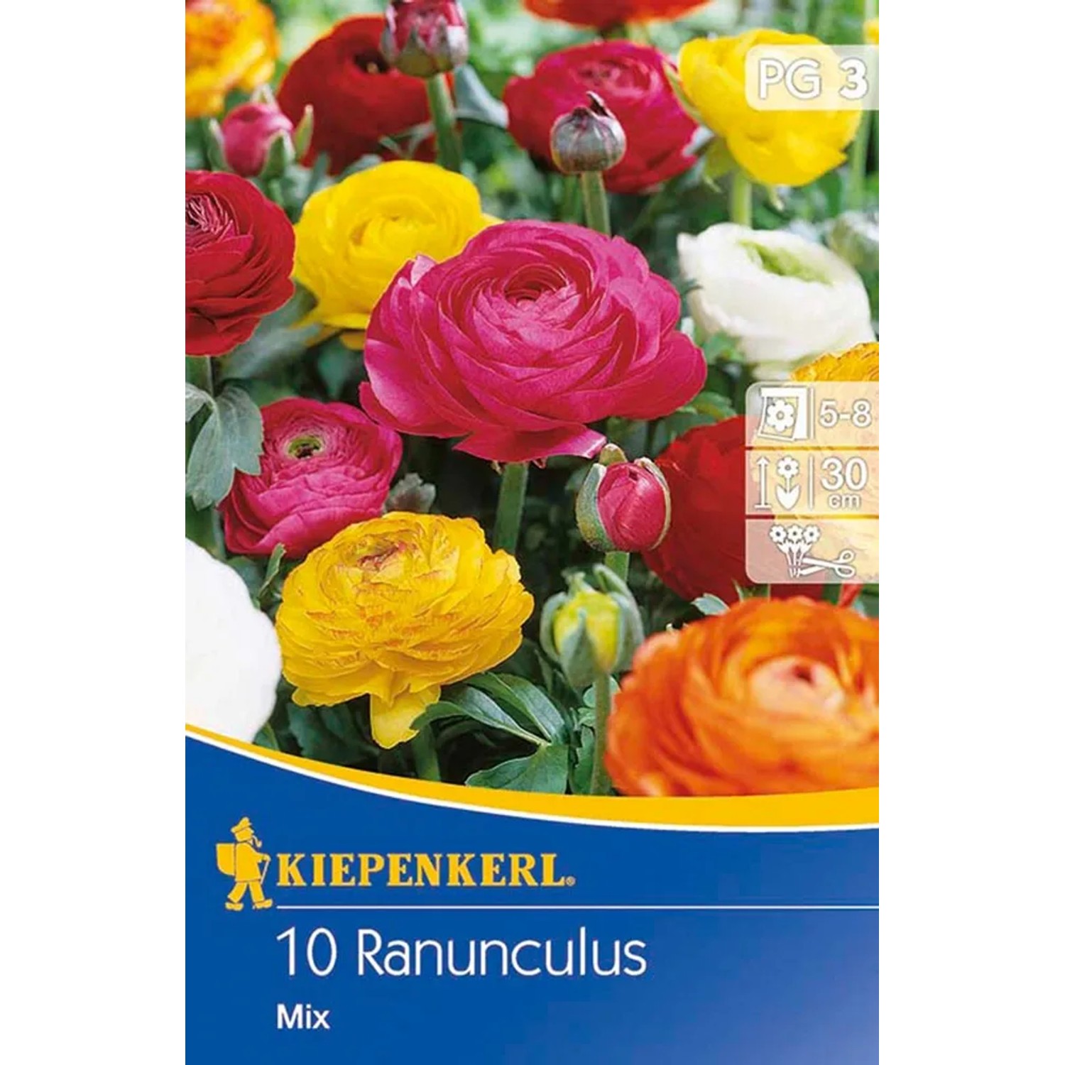 Kiepenkerl Ranunkeln "Mischung" Mehrfarbig kaufen bei OBI