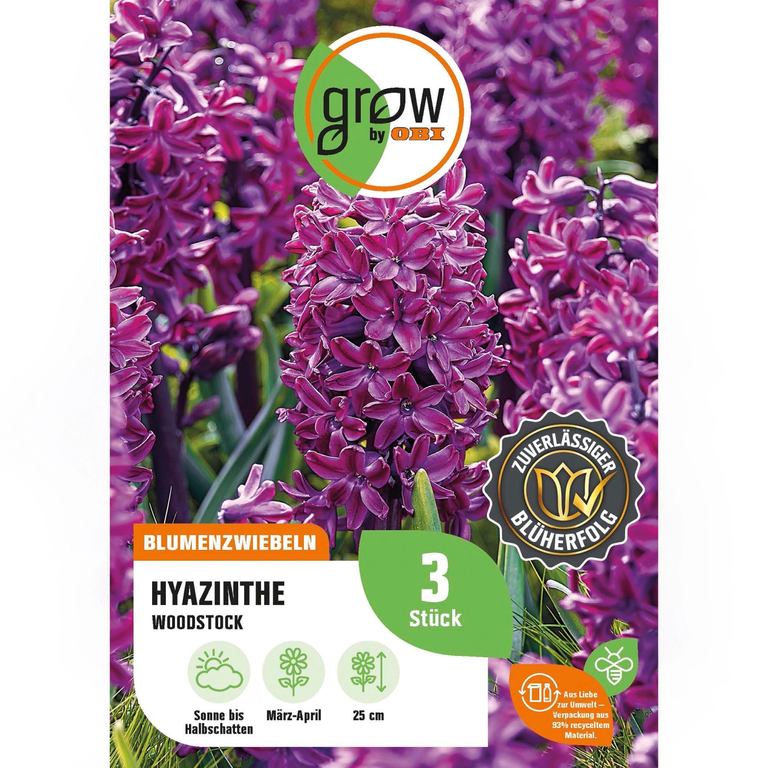 GROW by OBI Hyazinthe "Woodstock" Purpur 25 cm Hyacinthus orientalis kaufen bei OBI