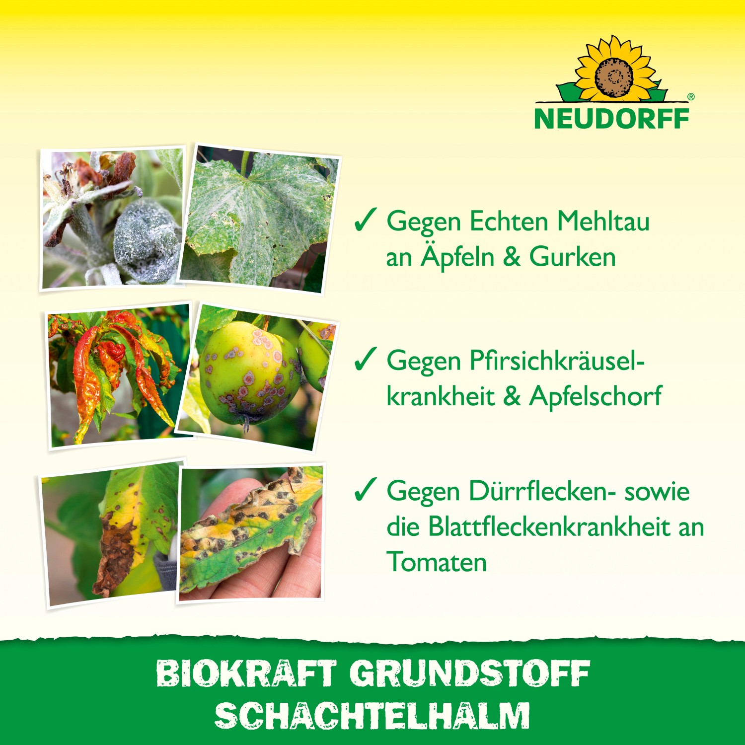 Neudorff Biokraft Grundstoff Schachtelhalm AF 500 ml kaufen bei OBI
